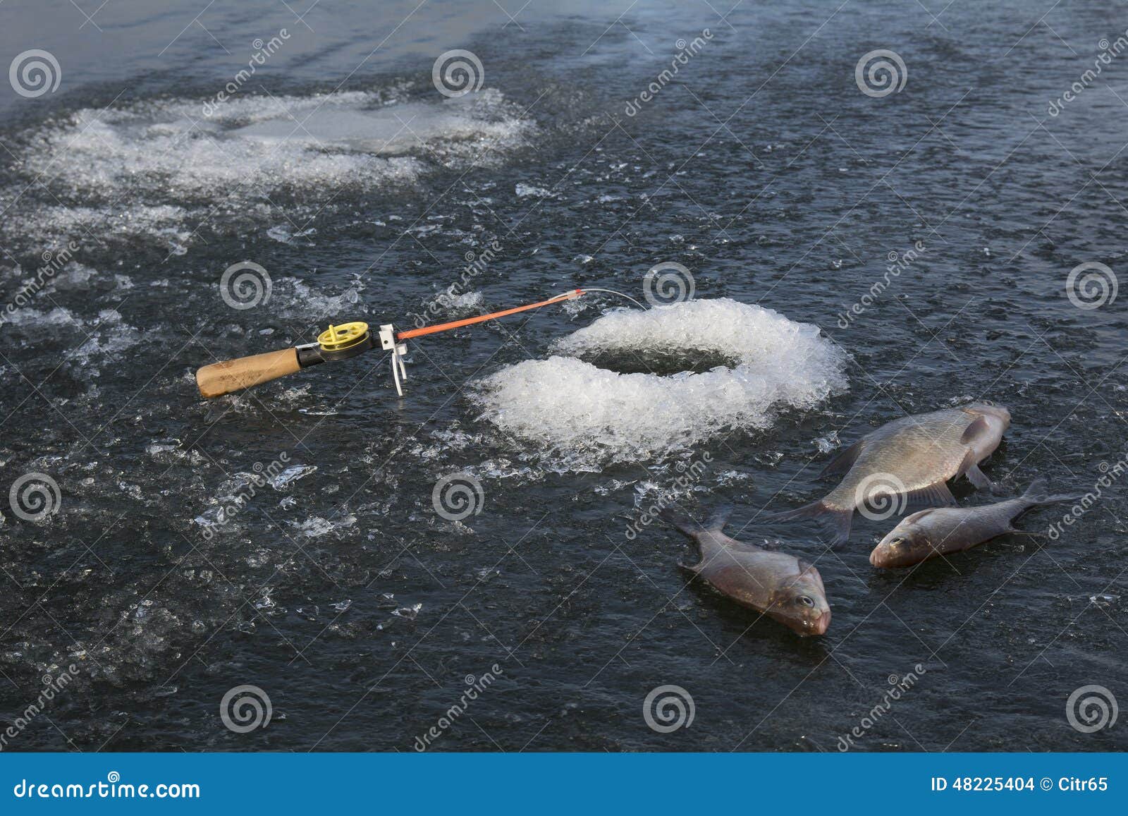Winter fishing stock photo. Image of bream, snow, winter - 48225404