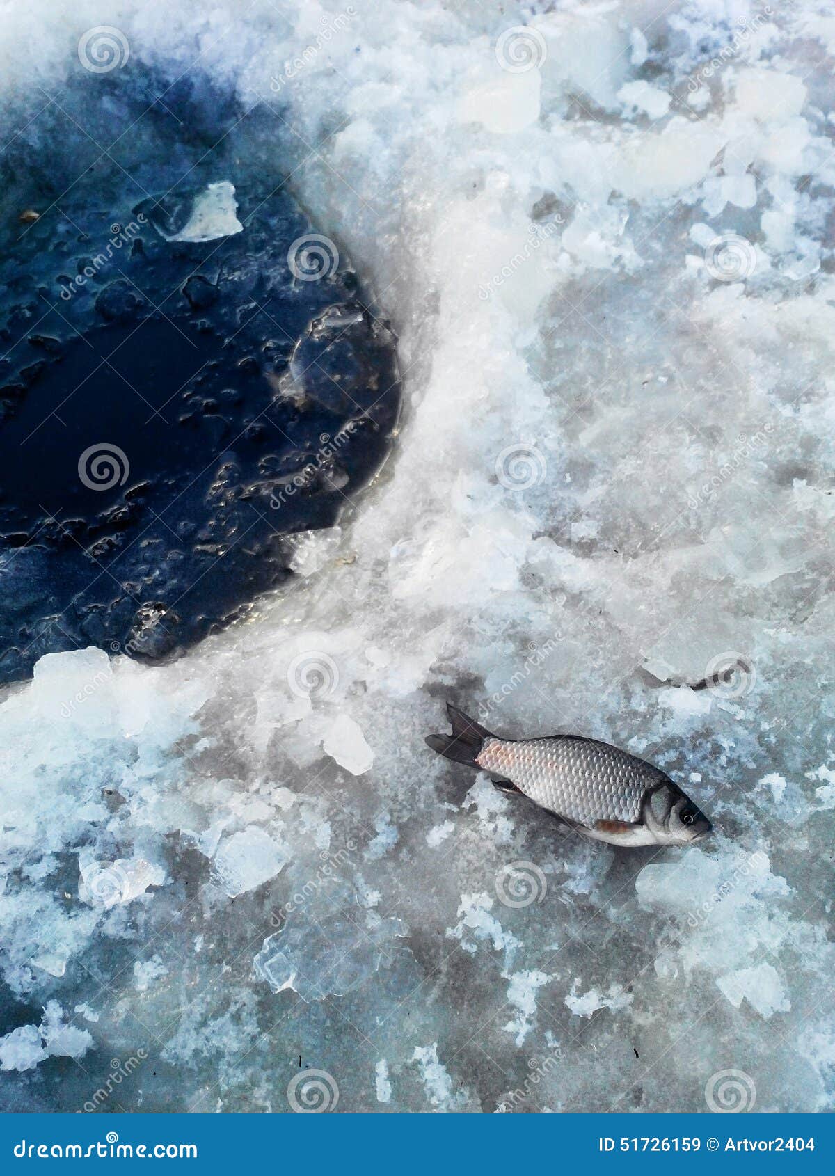 Winter fishing stock image. Image of fishing, cold, fish - 51726159