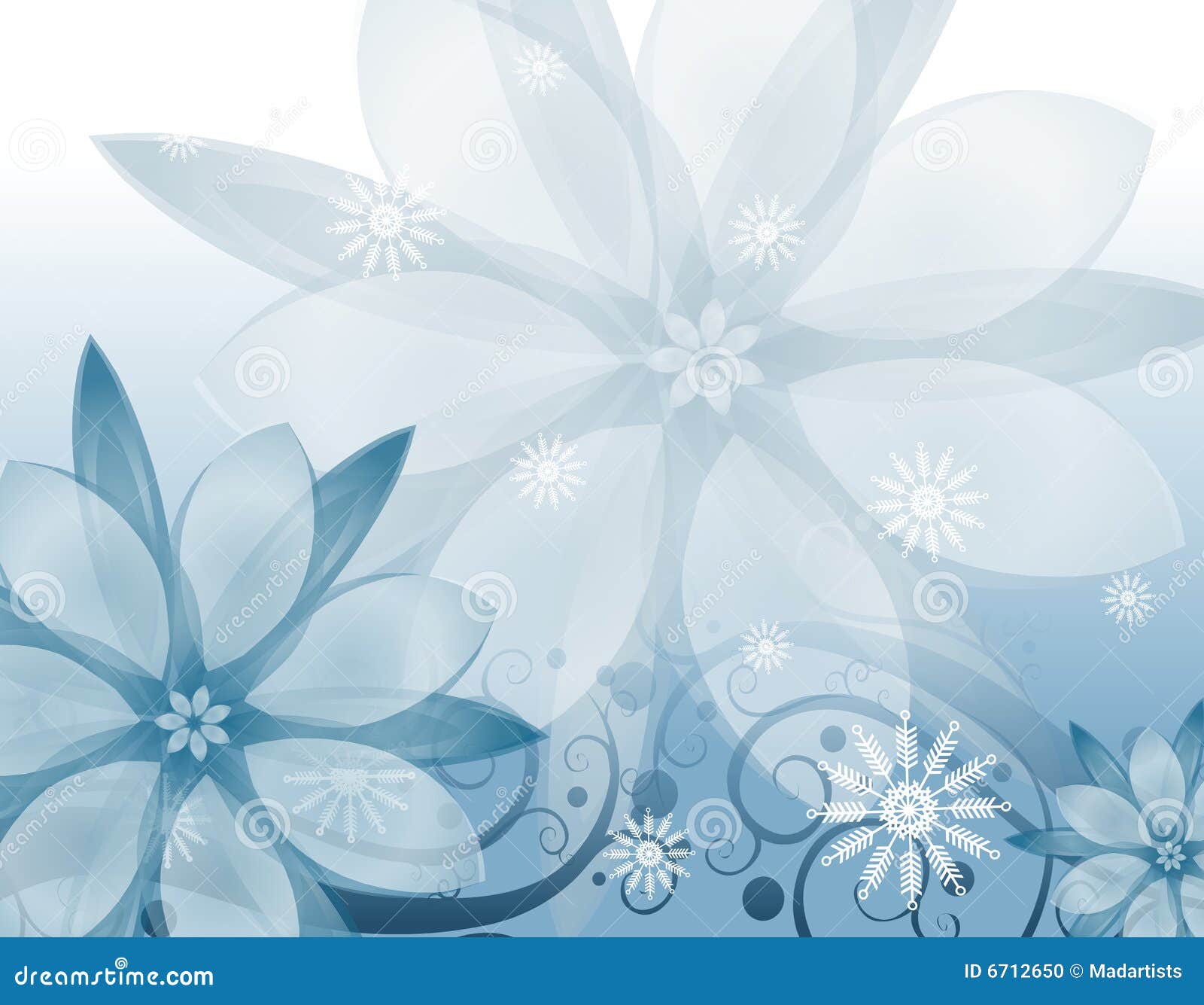 Winter Flowers Wallpaper Backgrounds