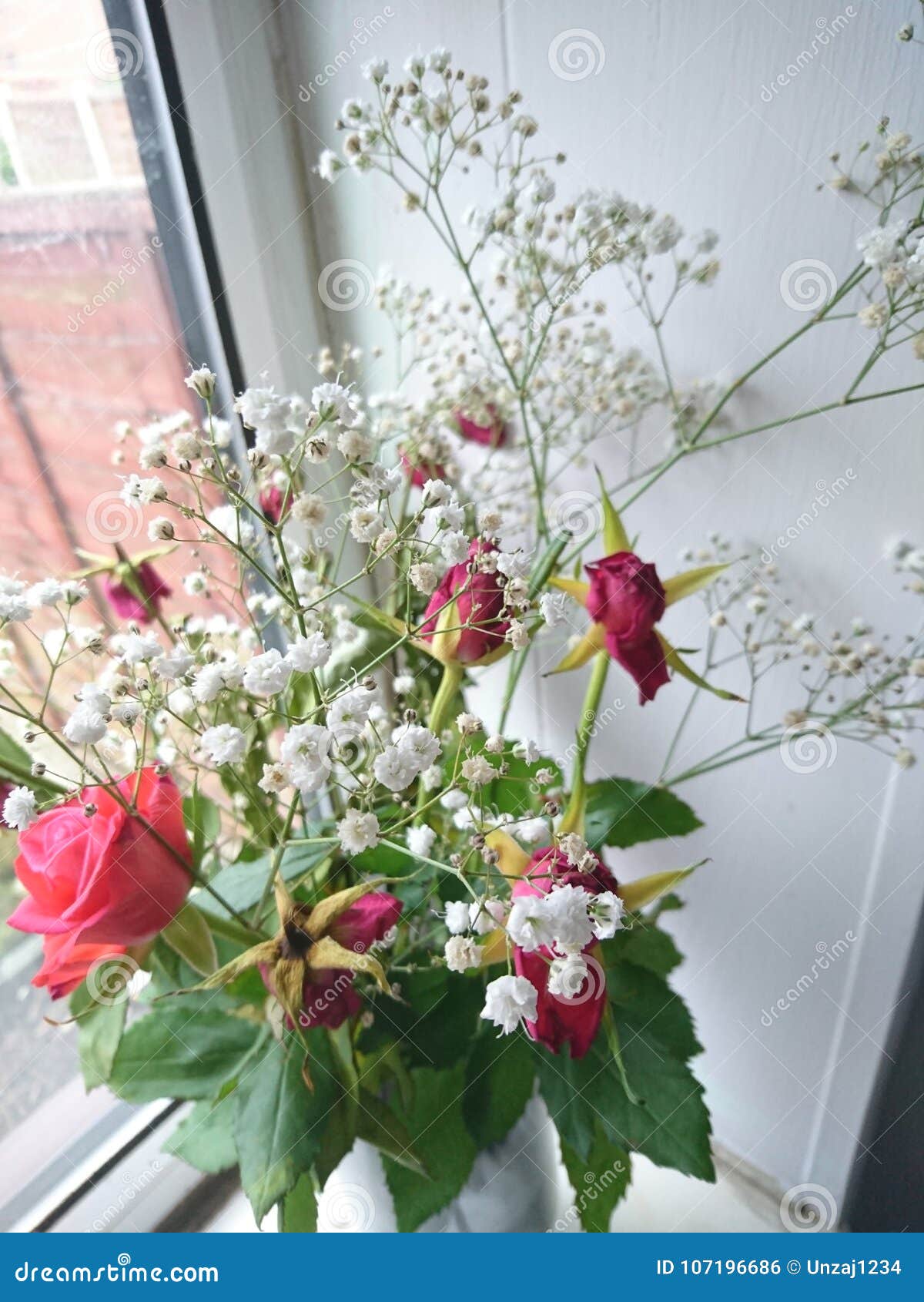 Flower stock photo. Image of roses, flower, colours - 107196686