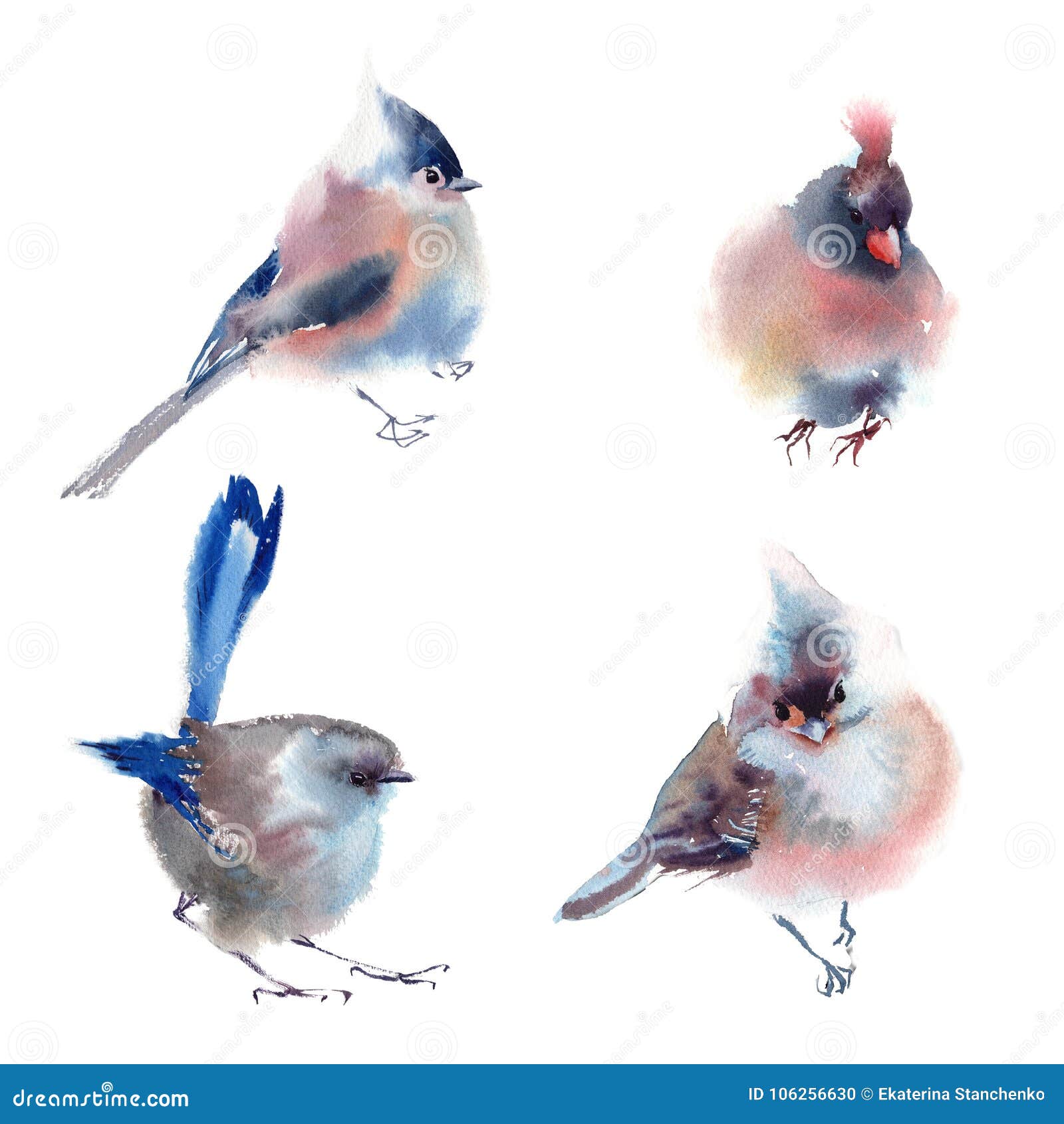 Winter Fluffy Soft Bird Hand Drawn Watercolor Stock Illustration ...