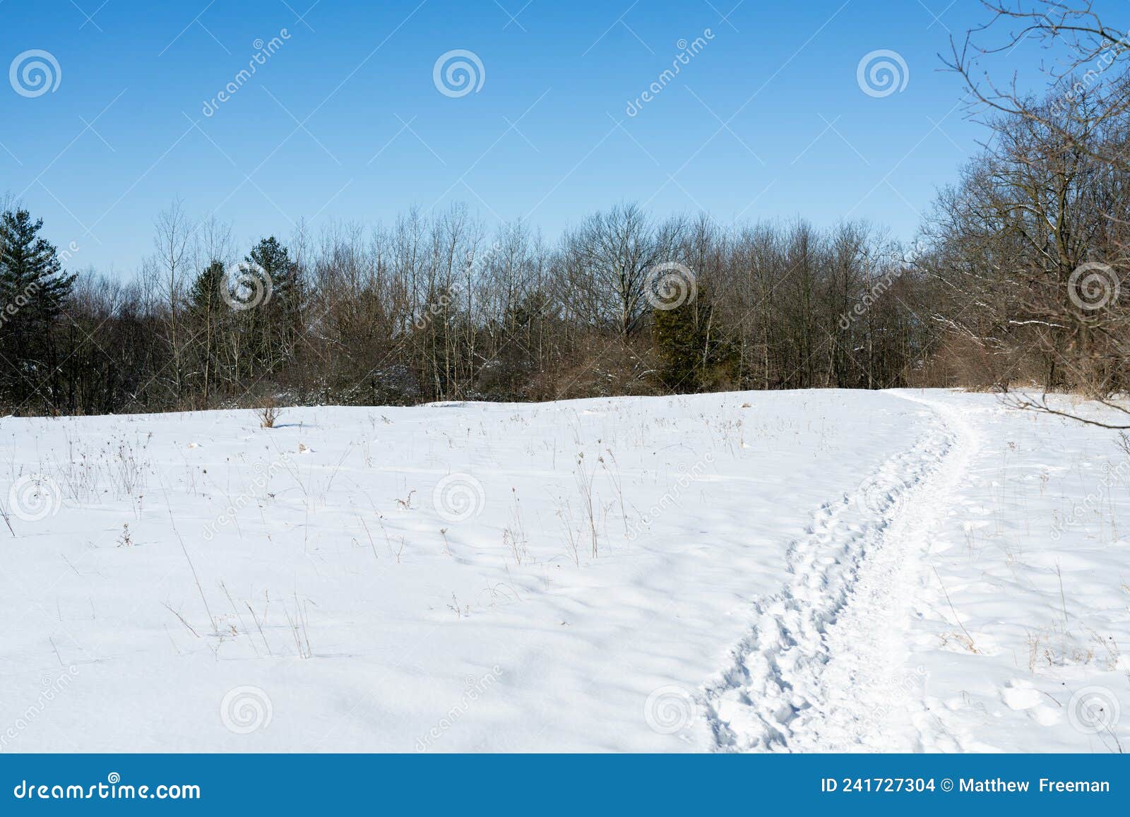 Winter Footsteps in Komoka Ontario Stock Photo - Image of bright ...