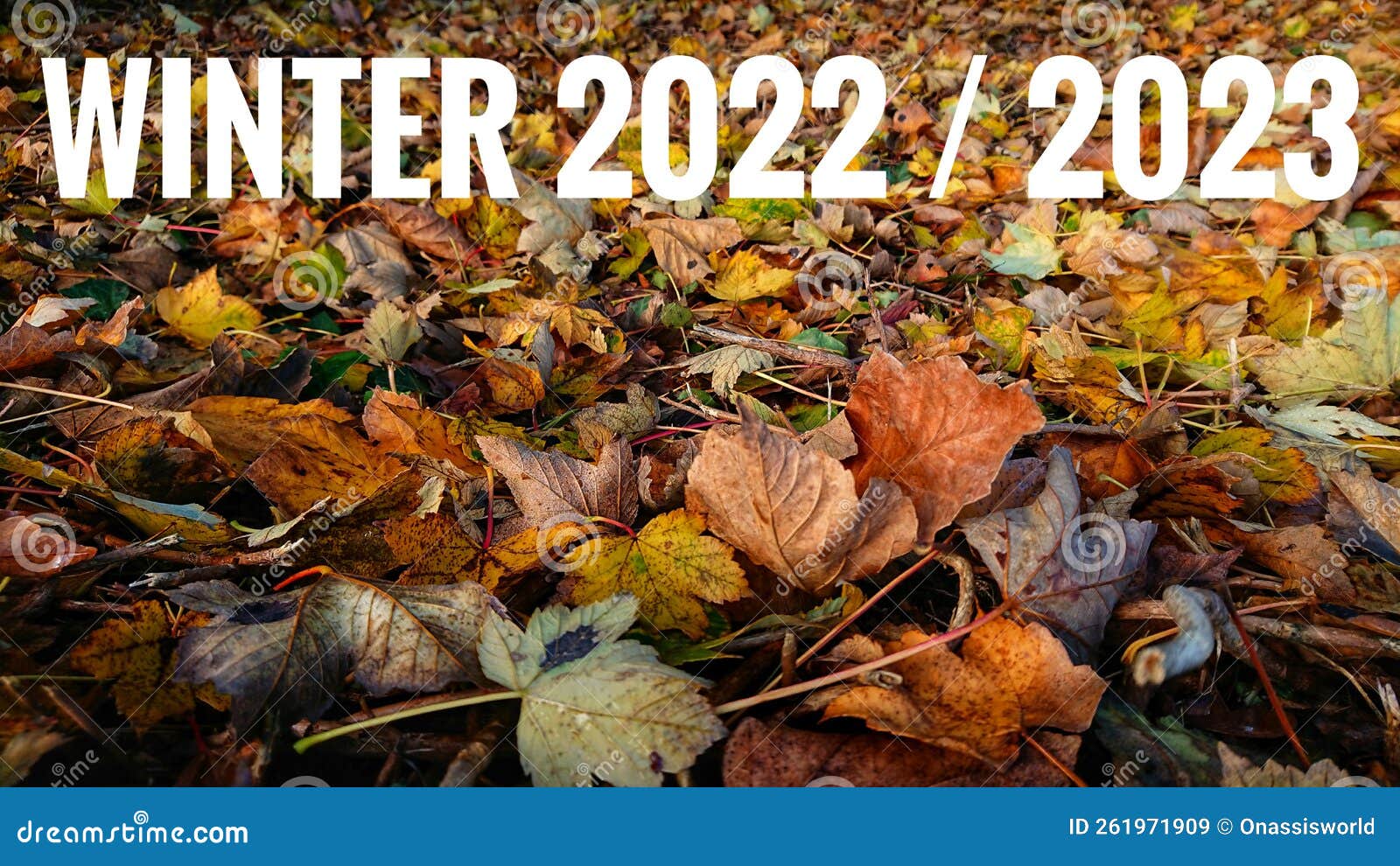 Winter 2022 2023 Forecast Predictions Illustration Header Background ...