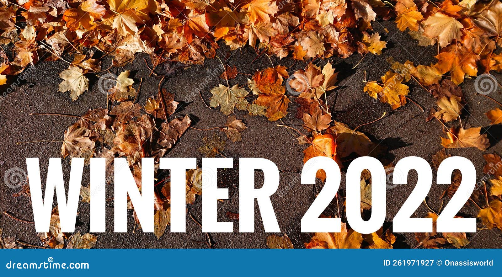 Winter 2022 2023 Forecast Predictions Illustration Header Background ...