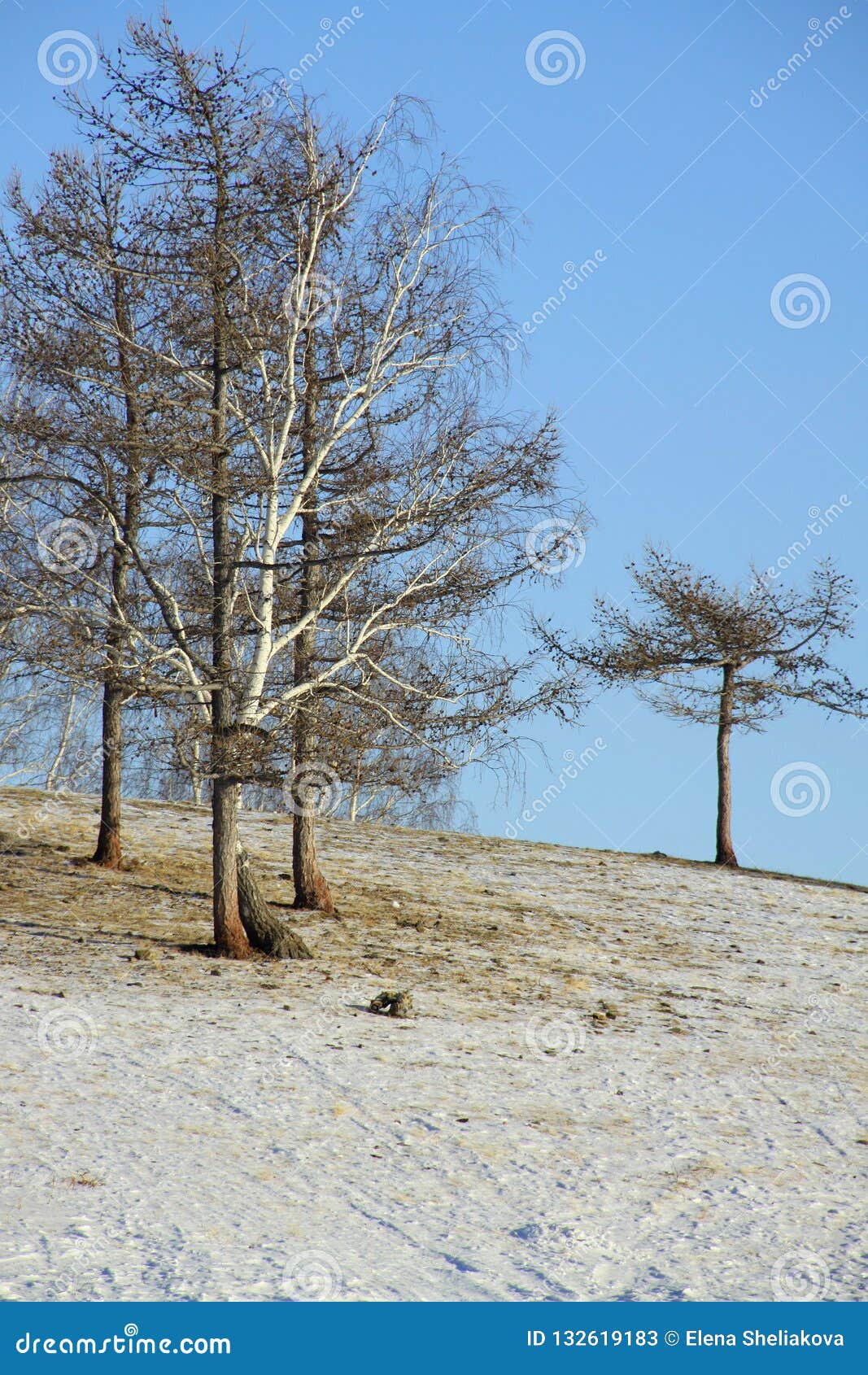 Waiting for the spring stock image. Image of life, blue - 132619183