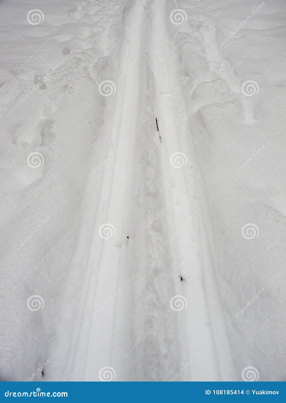 Winter Forest Clear Ski Trail in Snow Top View Stock Photo - Image of ...
