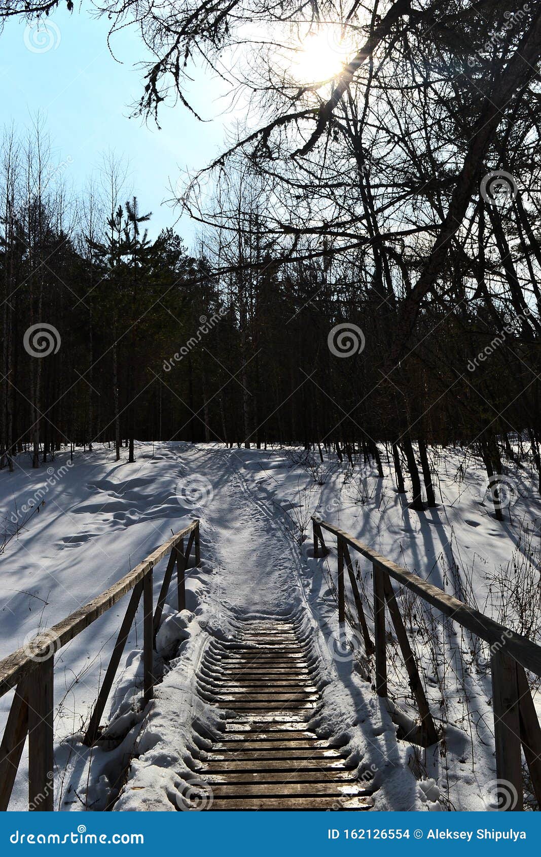 Winter Forest Icy Bridge in Snow Stock Photo - Image of lonely, path ...