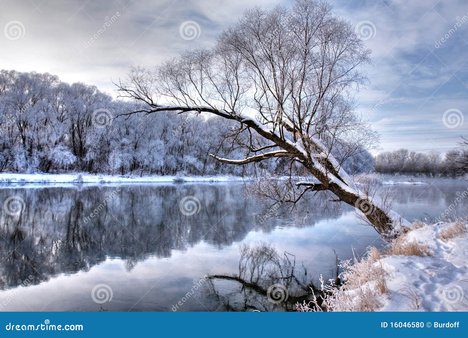 Winter forest river stock photo. Image of bright, ethereal - 16046580