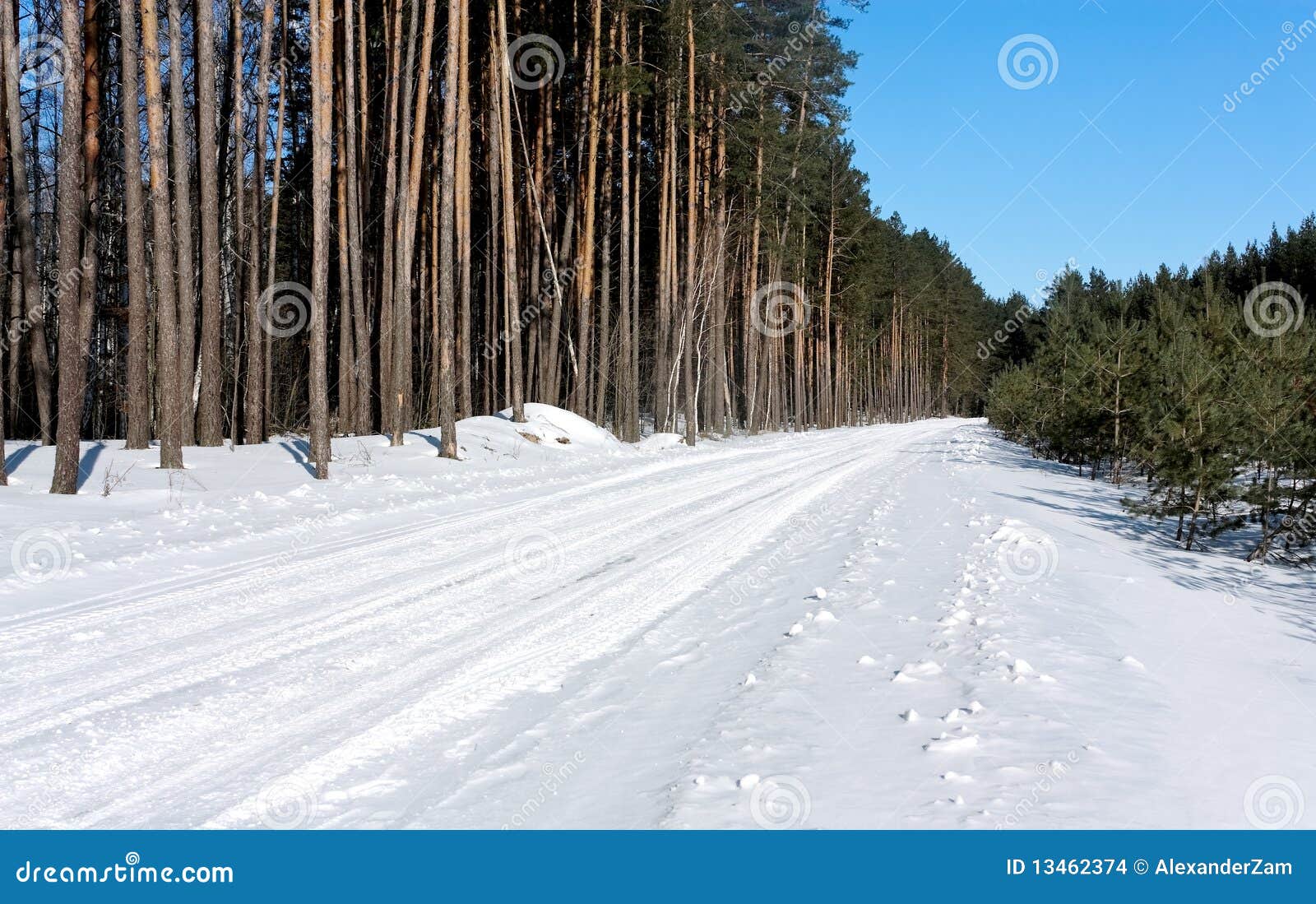 Winter forest road stock photo. Image of forest, covered - 13462374