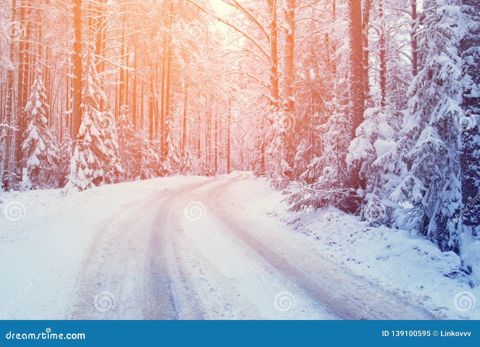 Winter Forest Road in the Form of Background Stock Image - Image of ...