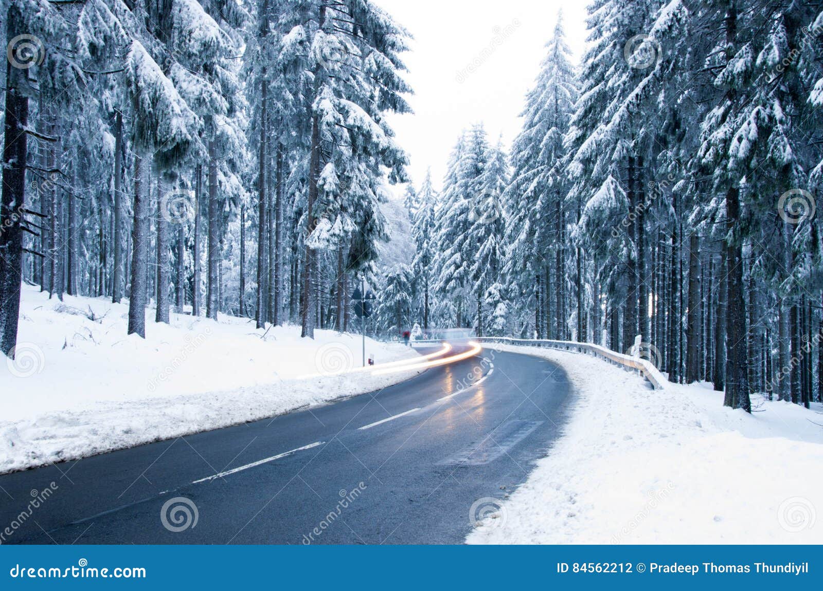 Winter Forest Road stock photo. Image of horizontal, long - 84562212