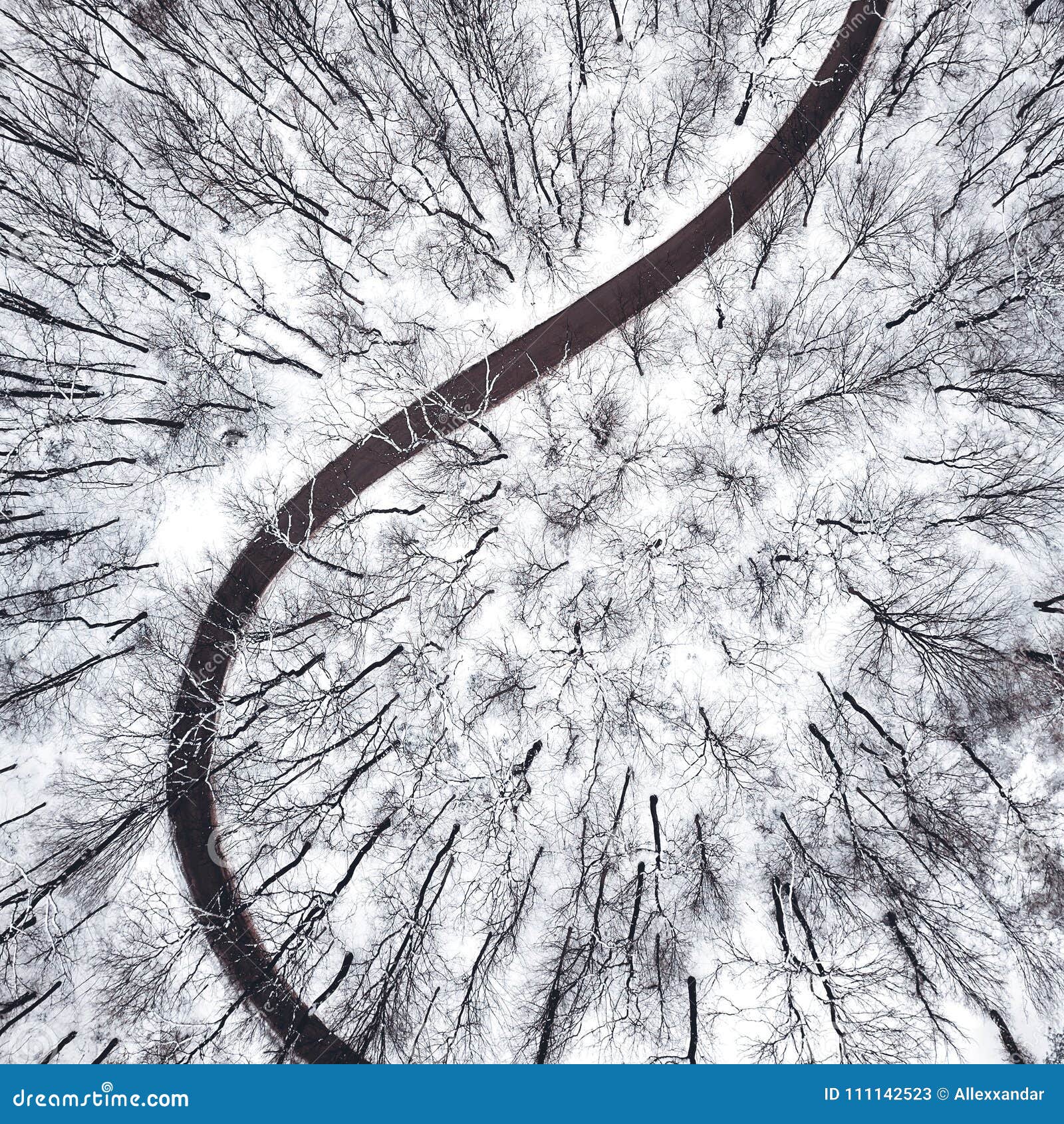 Winter Forest and Road. Top View Stock Image - Image of light, snow ...