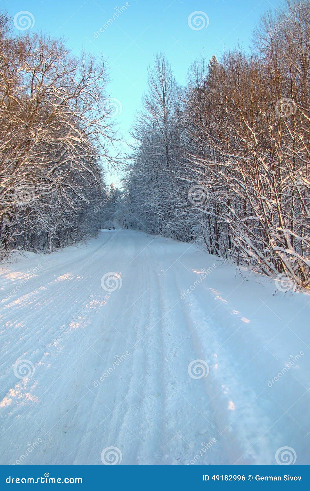 Winter forest road stock photo. Image of season, rural - 49182996