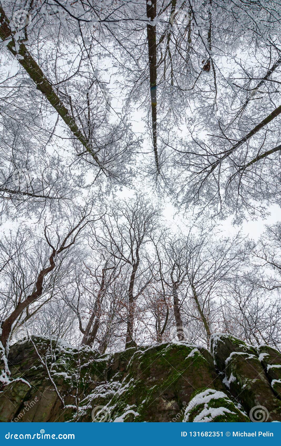 Winter Forest on a Rocky Cliff. Stock Image - Image of background ...