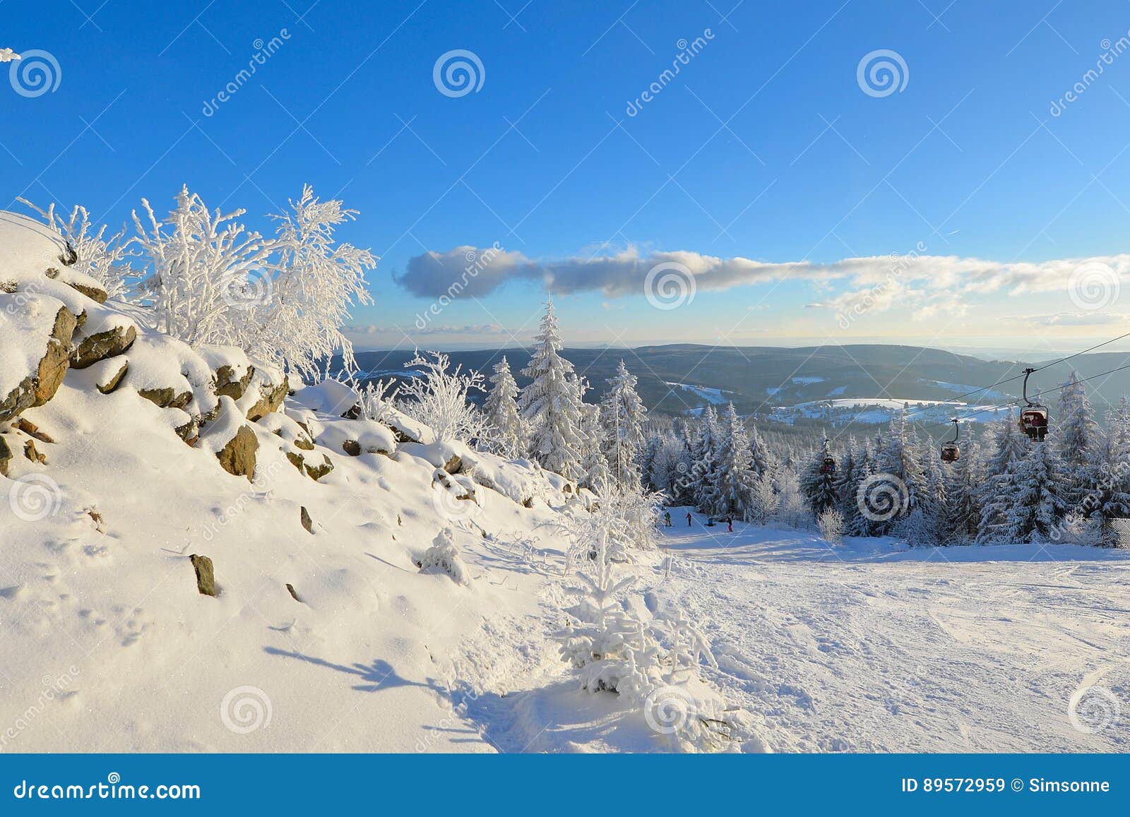 Winter Forest Scenery Frosty Coldly Stock Image - Image of nature, snow ...