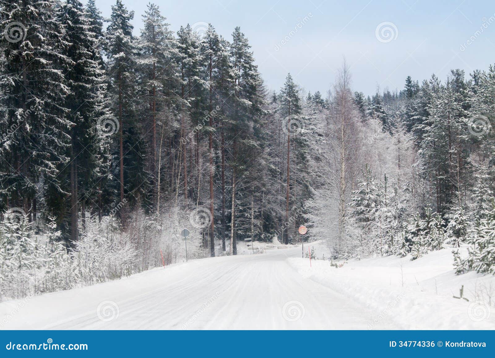 Winter Forest and a Snow Road Stock Photo - Image of cold, evergreen ...