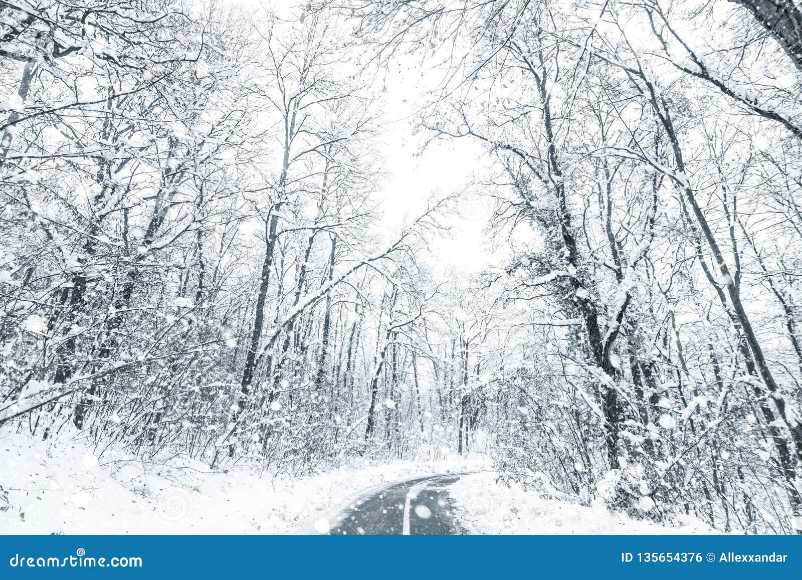 Winter Forest Snow Road. Forest Road Winter Snow View Stock Photo ...