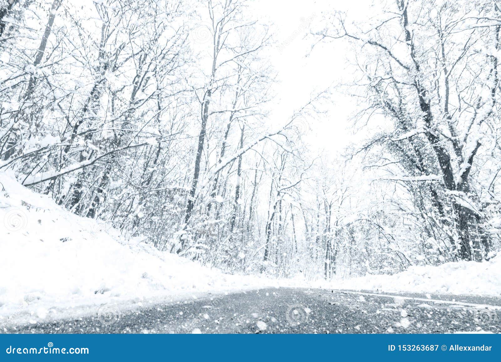 Winter Forest Snow Road. Forest Road Winter Snow View Stock Image ...