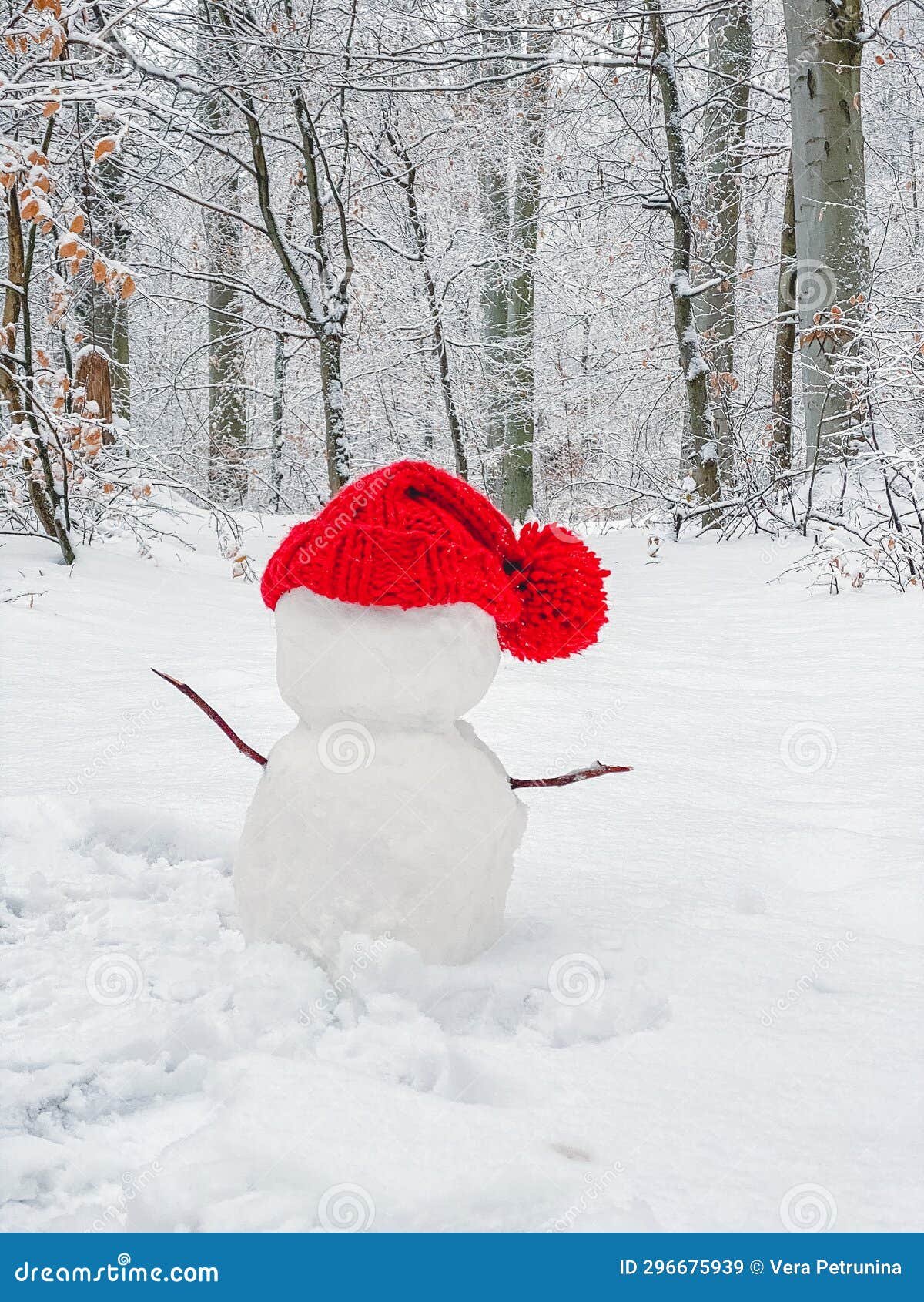 Winter Forest with a Snowman in a Red Hat Stock Image - Image of tree ...