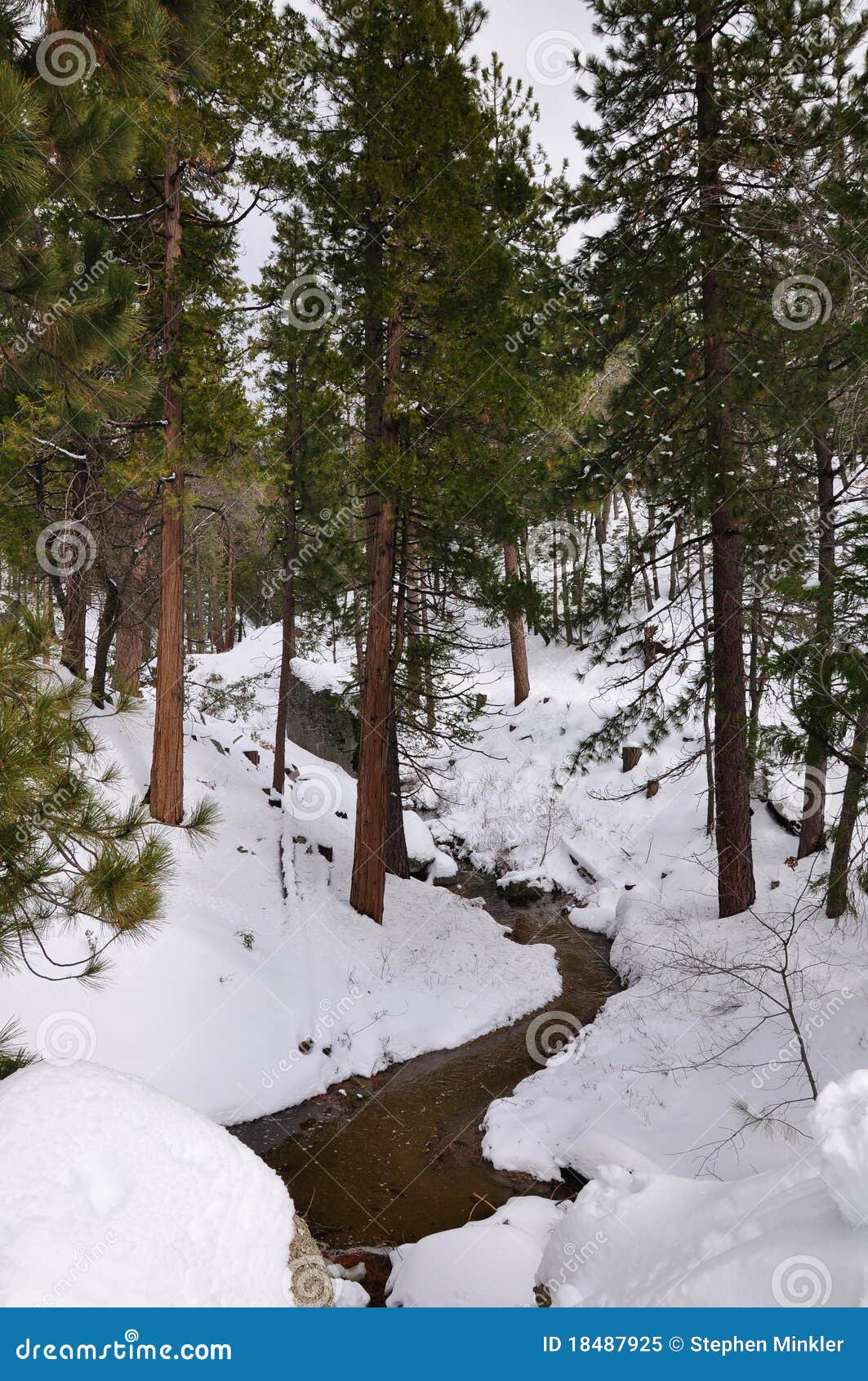 Winter forest stream stock image. Image of snow, peaceful - 18487925