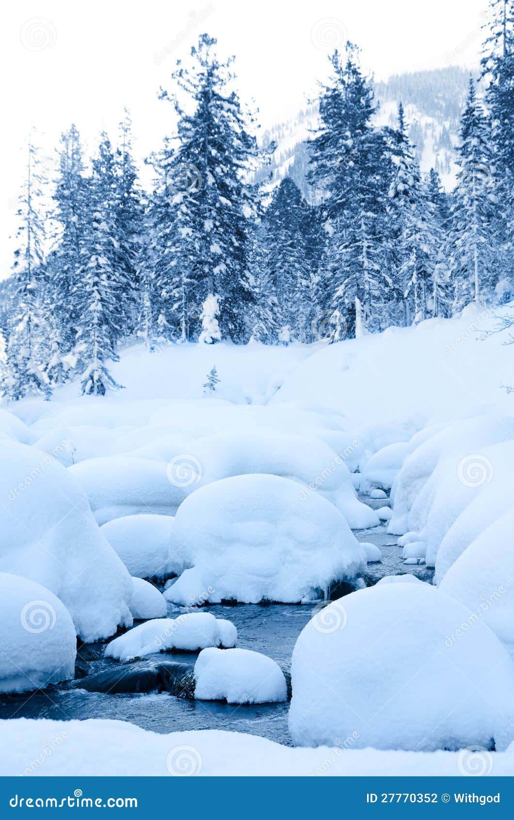 Winter forest stream stock photo. Image of calm, peaceful - 27770352