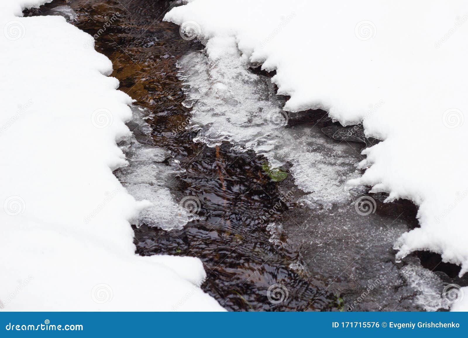 Winter Forest Stream Clean Fresh Water in Ice Stock Photo - Image of ...