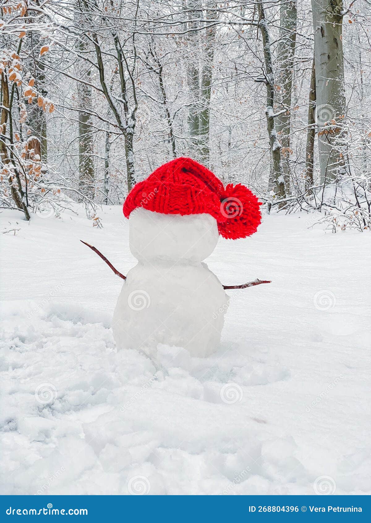 In the Winter Forest, There S a Little Snowman with a Red Hat Stock ...