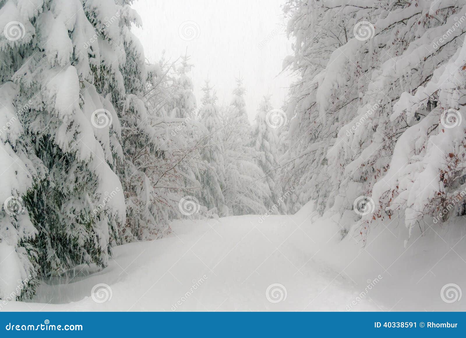 Winter Forest in Thuringia stock image. Image of hills - 40338591