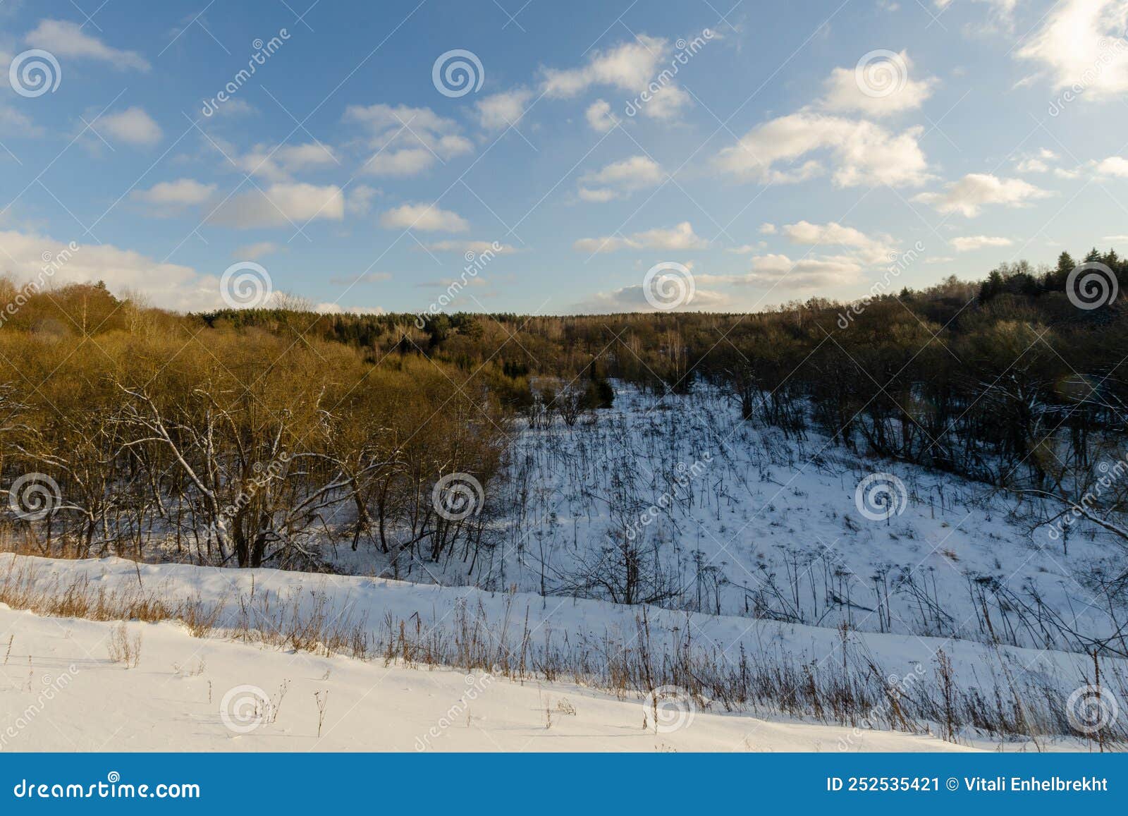 Winter Forest Top View. Beautiful Nature in Winter Stock Image - Image ...