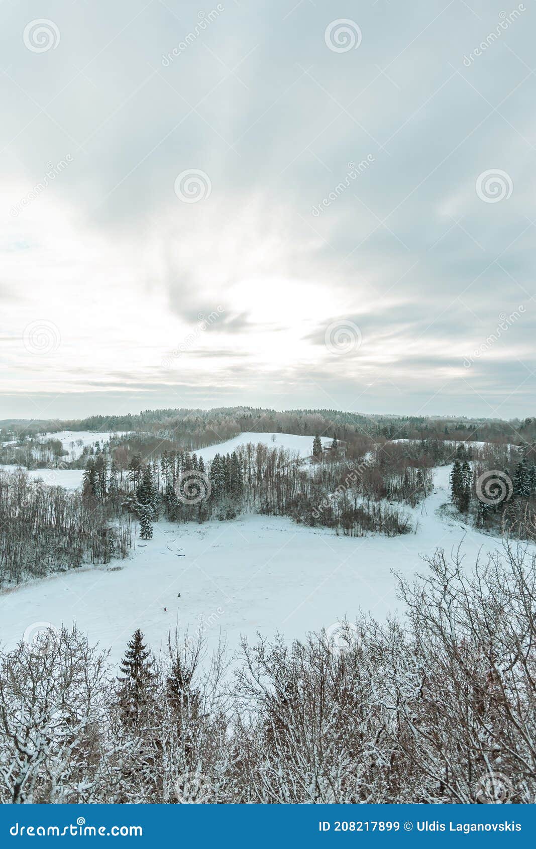 Winter Forest Top View. Winter View in from the Lookout Tower Stock ...
