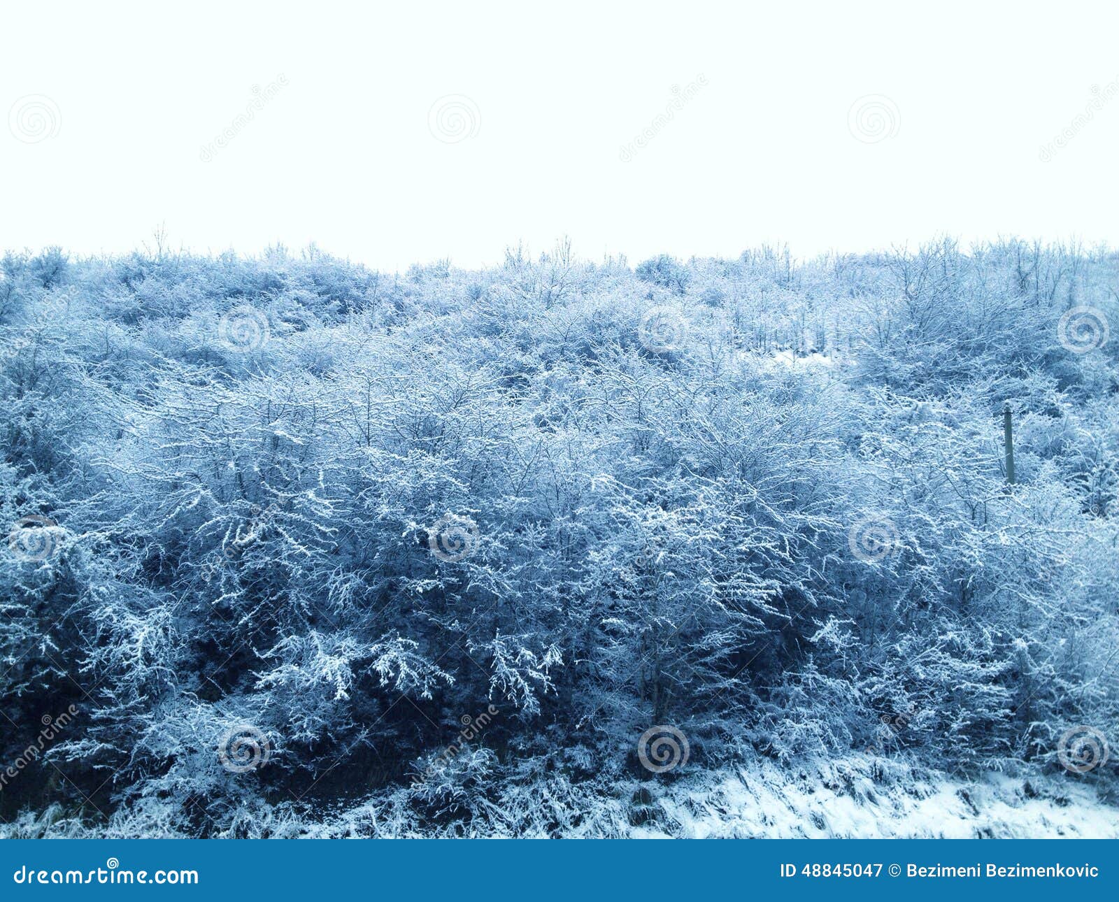 Winter Seasoon Stock Photos - Free & Royalty-Free Stock Photos from ...