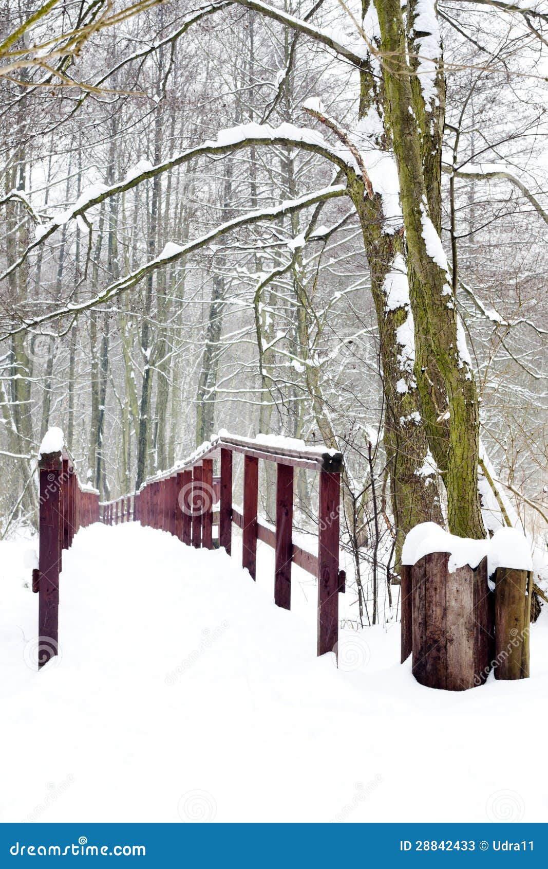 Winter Forest and Wooden Bridge Stock Image - Image of natural, cool ...