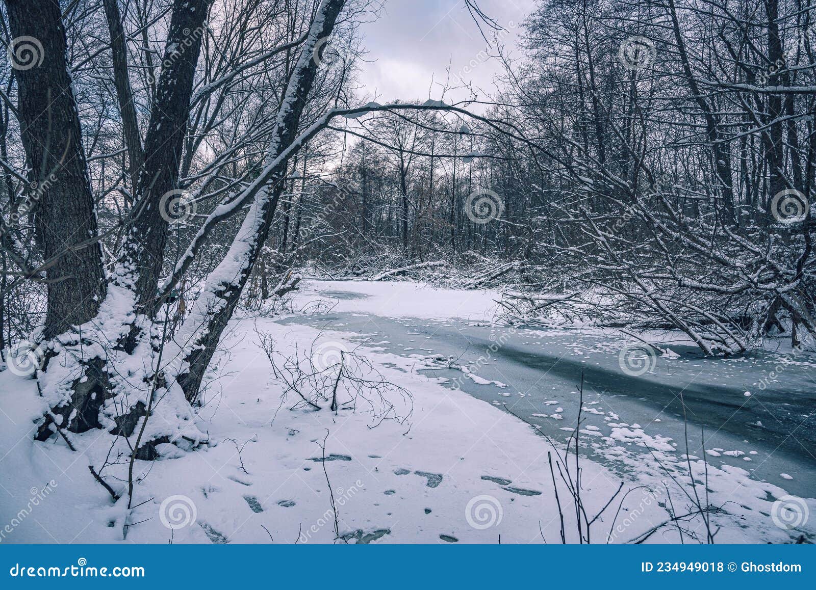 Winter forests stock photo. Image of snow, sunset, nature - 234949018