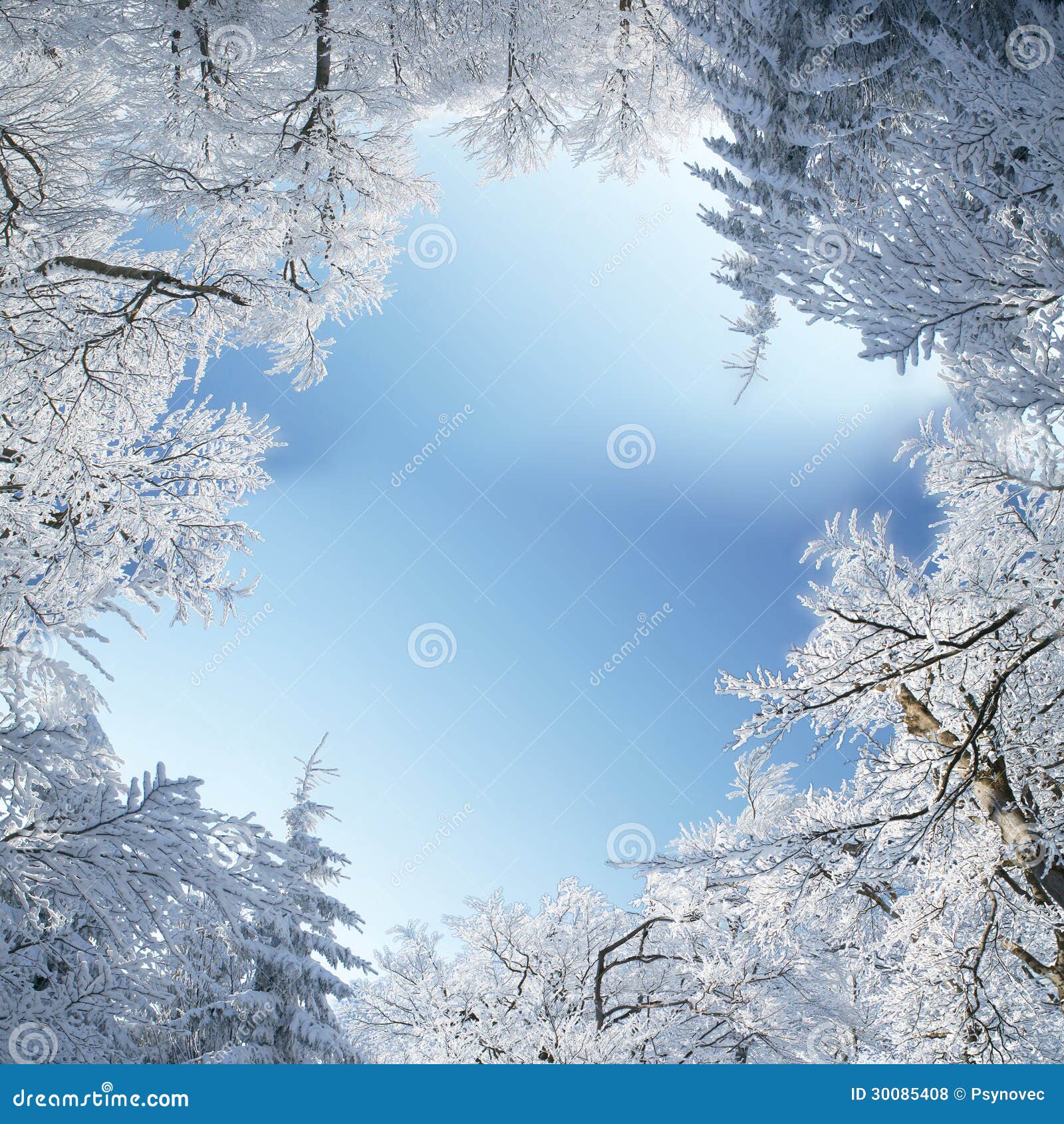 Winter frame stock photo. Image of copy, frame, coated - 30085408