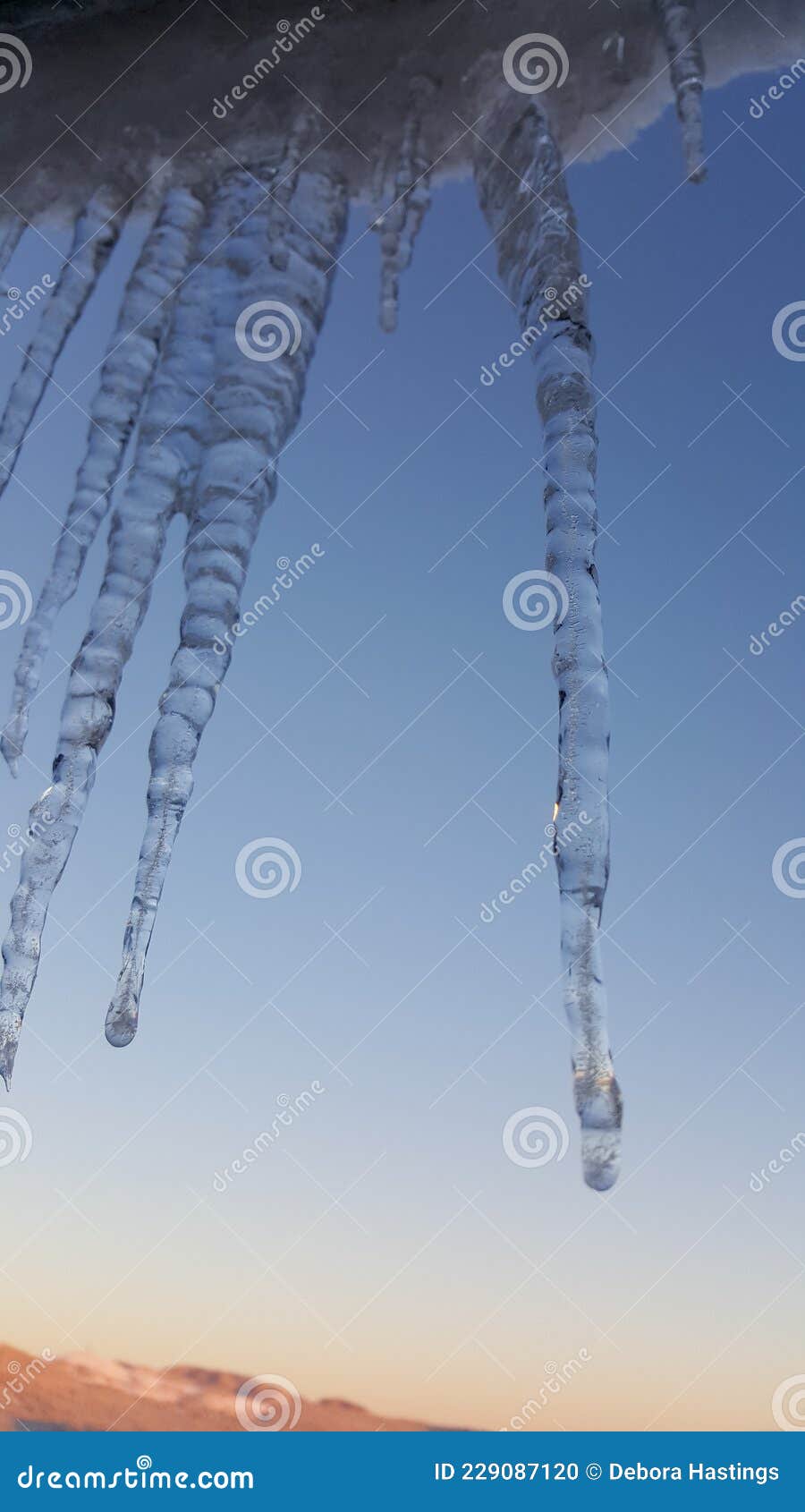 Winter Freeze Ice stock photo. Image of snow, wing, sunlight - 229087120