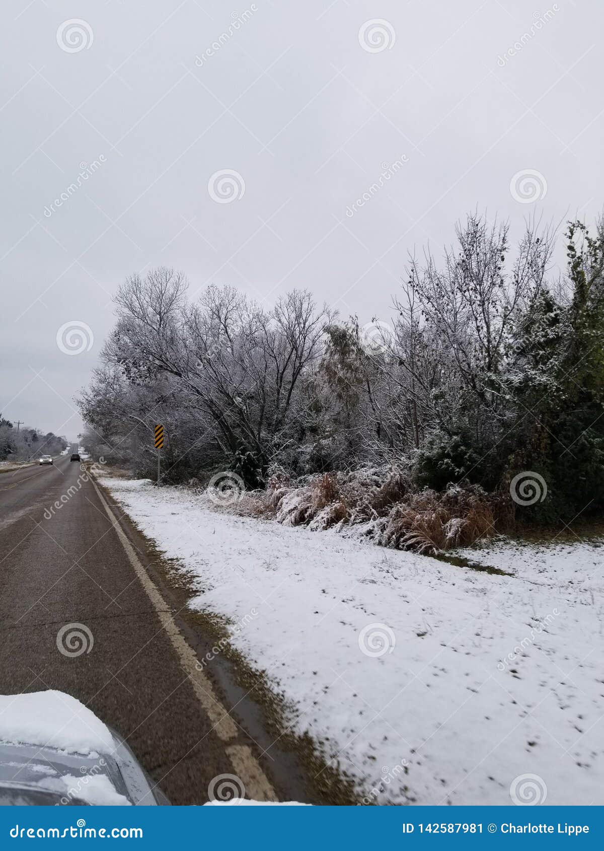 Winter Freeze 1 stock image. Image of winter, freeze - 142587981