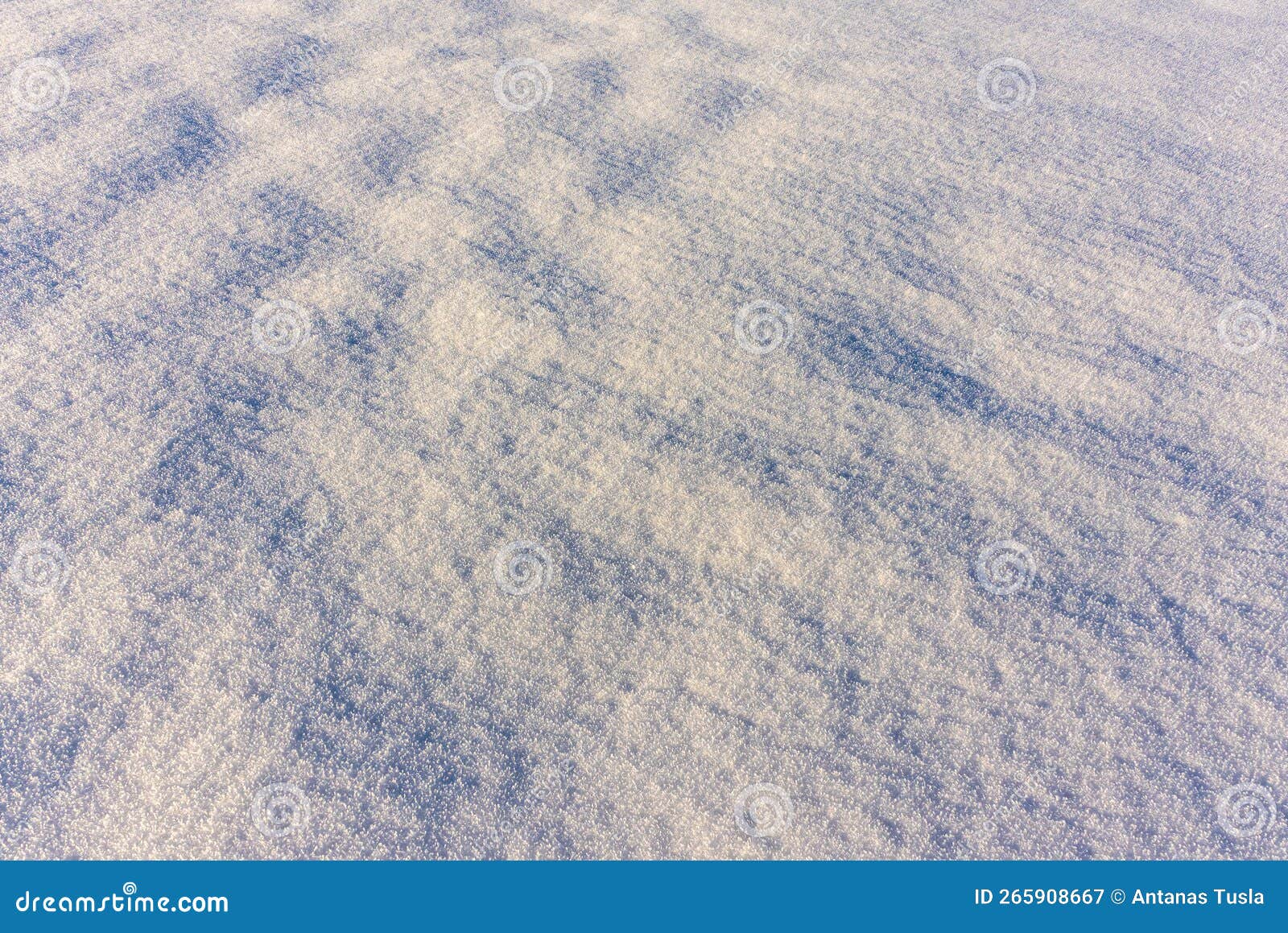 Winter Fresh Snow Texture Background in Daylight Stock Image - Image of ...