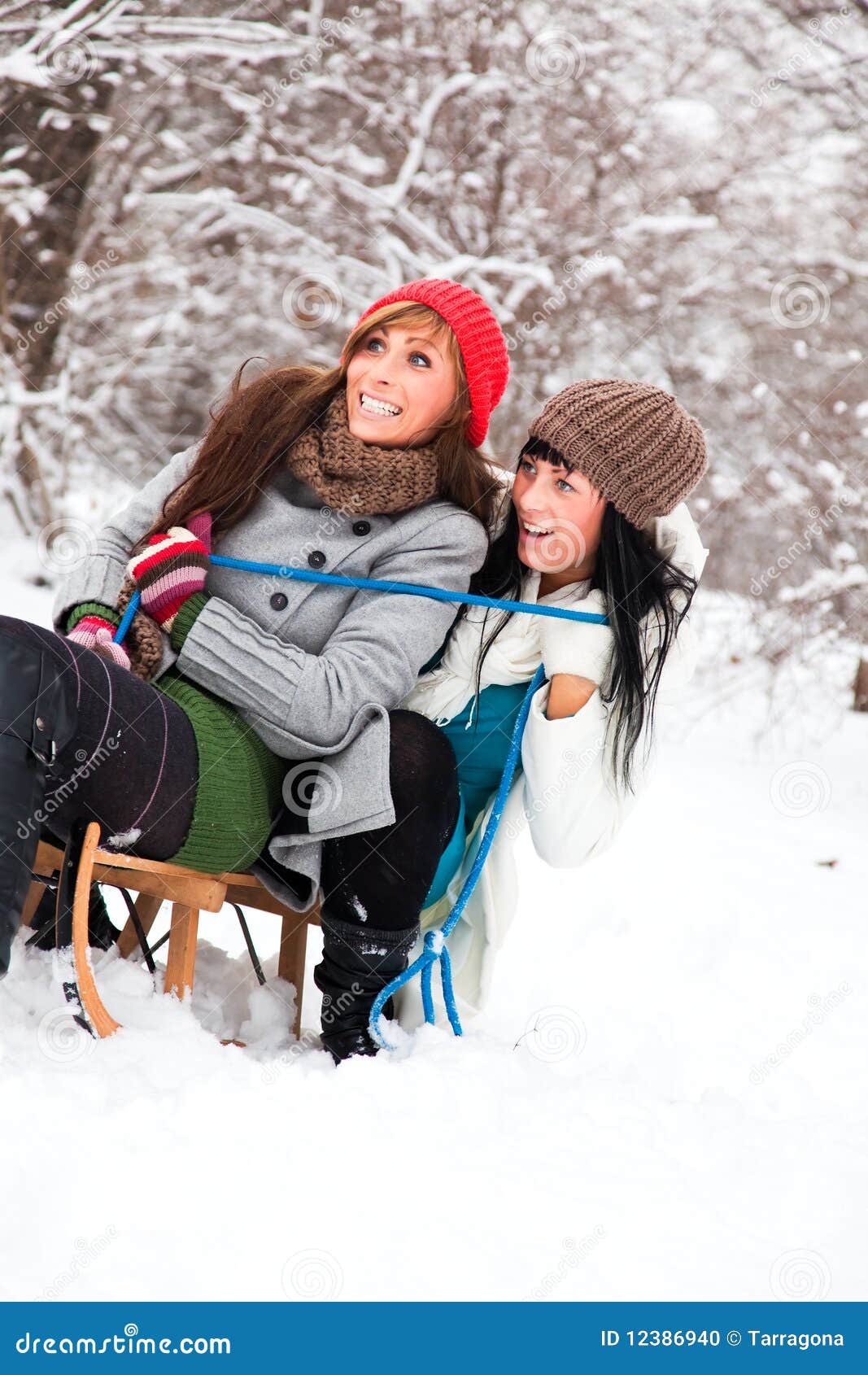 Winter friends stock photo. Image of luge, happiness - 12386940