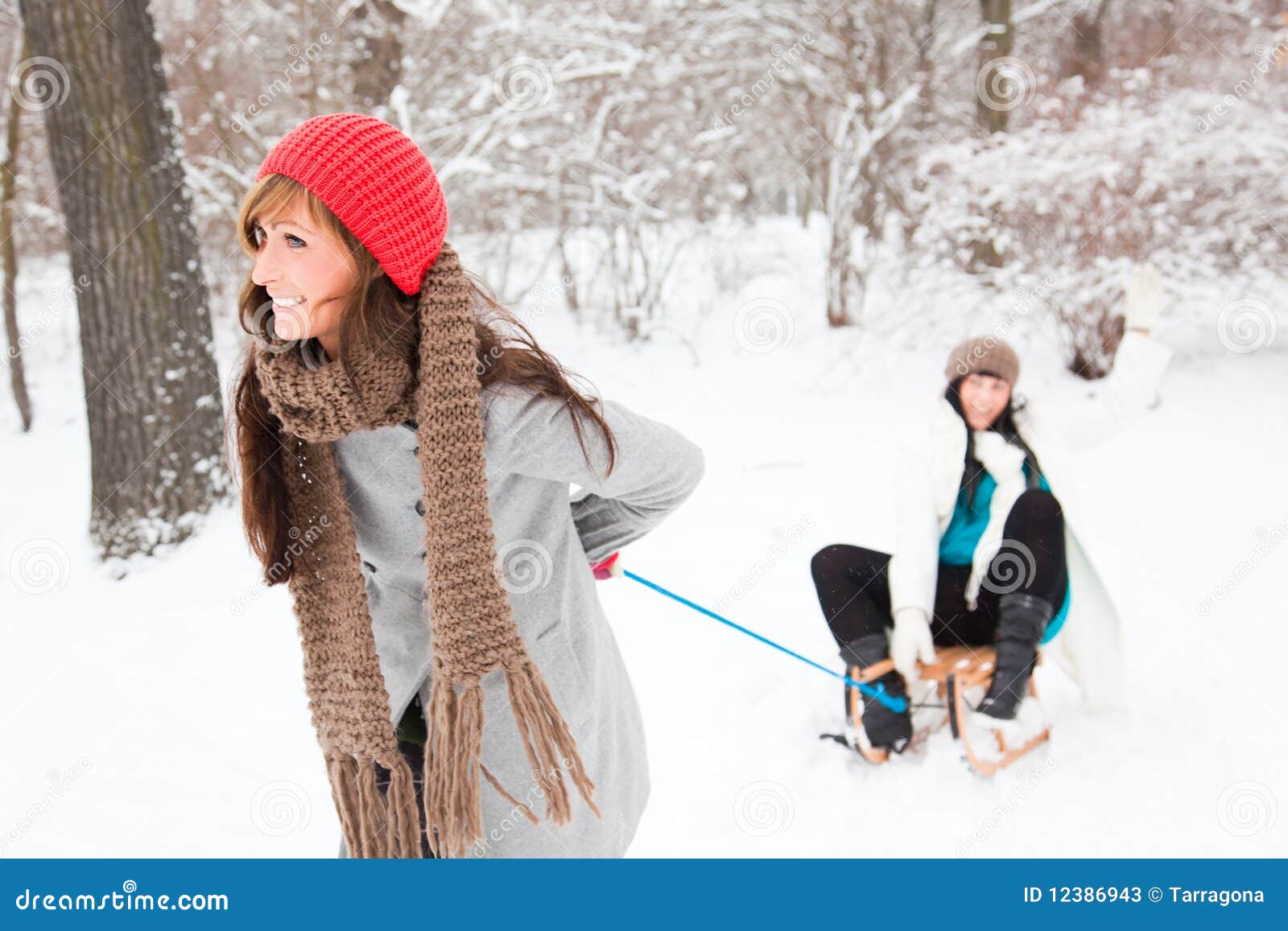 Winter friends stock image. Image of family, cold, active - 12386943
