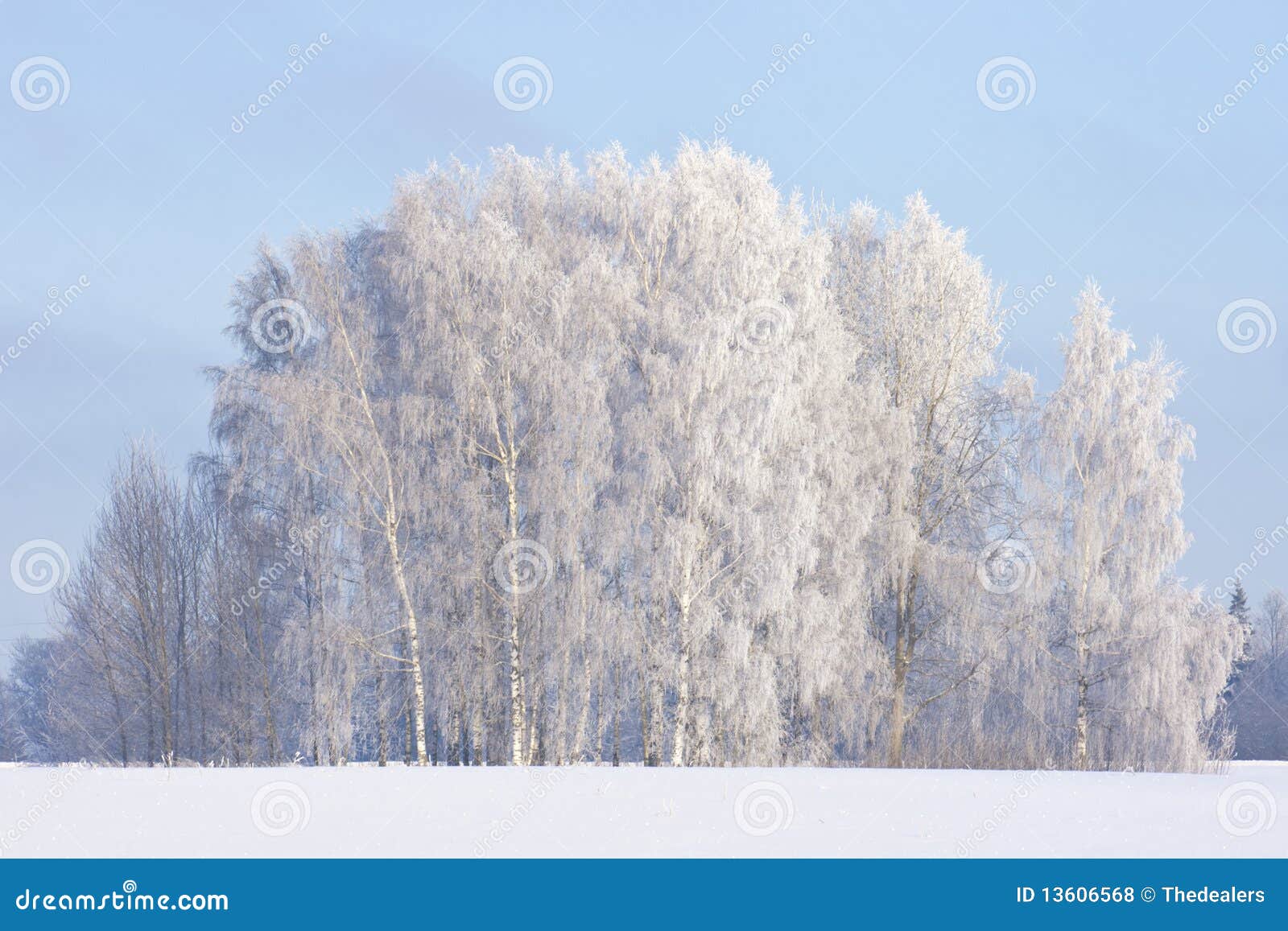 Winter frost scene stock photo. Image of countryside - 13606568
