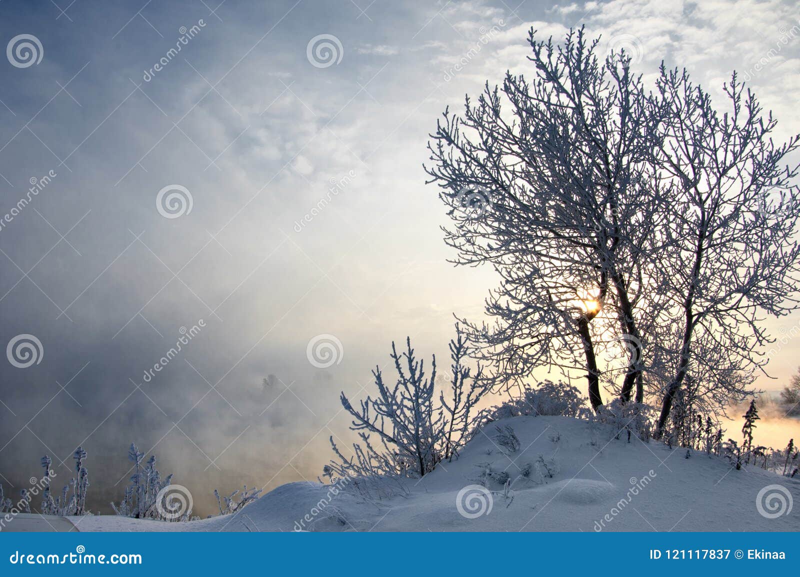 Winter frost sunset stock image. Image of light, freeze - 121117837
