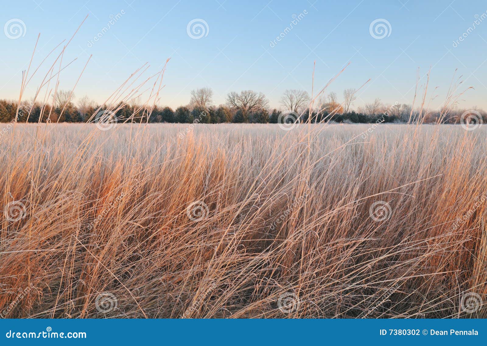 Winter Frosted Prairie stock photo. Image of fort, peaceful - 7380302