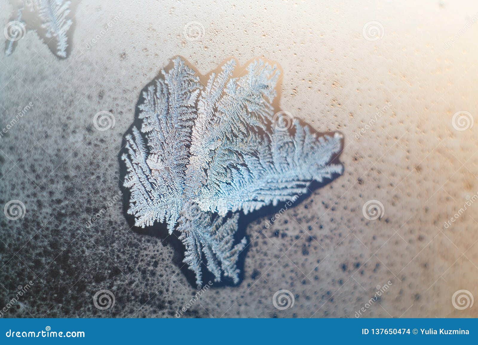 The Cold Frosty Texture Abstract Patterns. Stock Photo - Image of ...