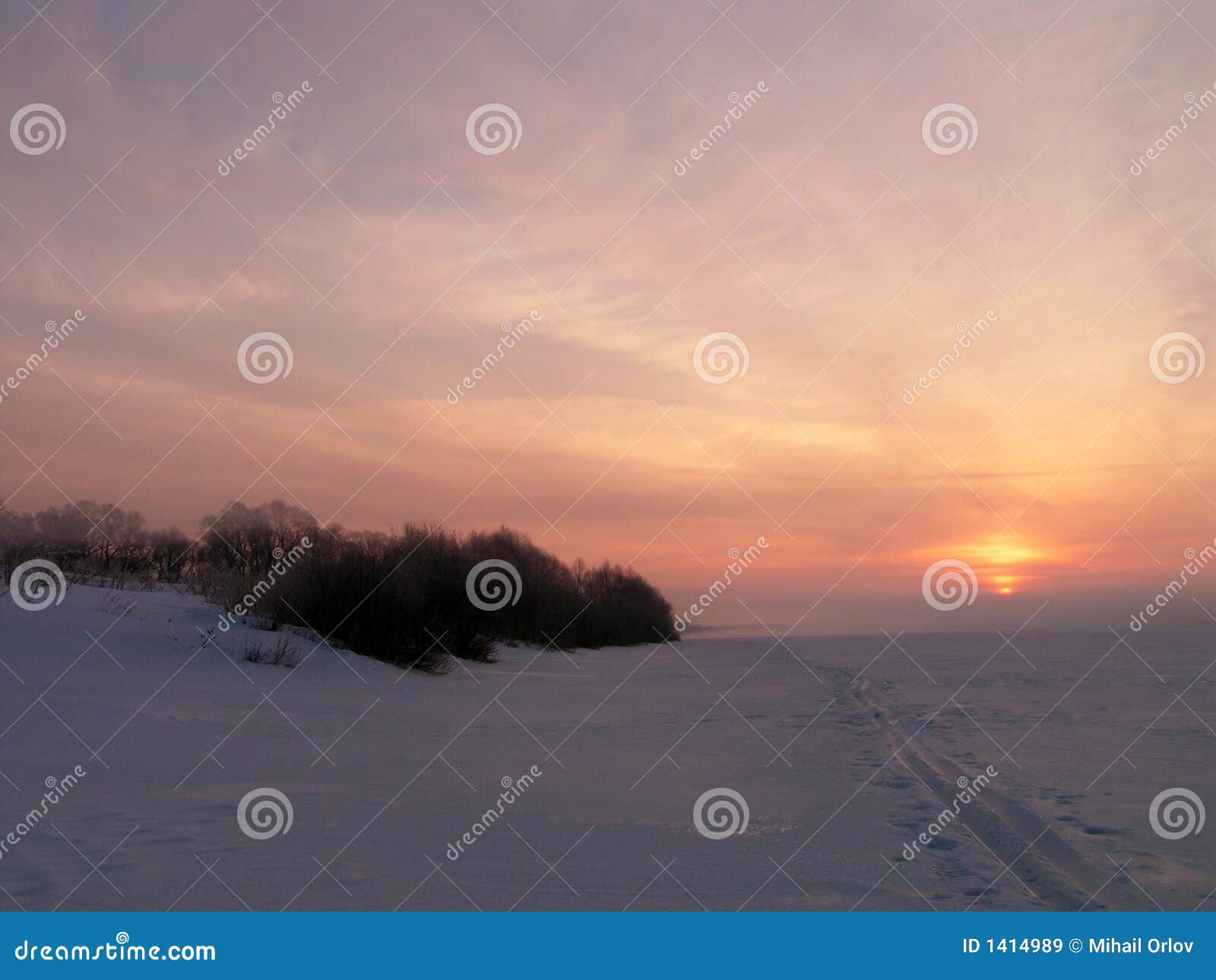Winter frosty morning. stock image. Image of chill, plant - 1414989