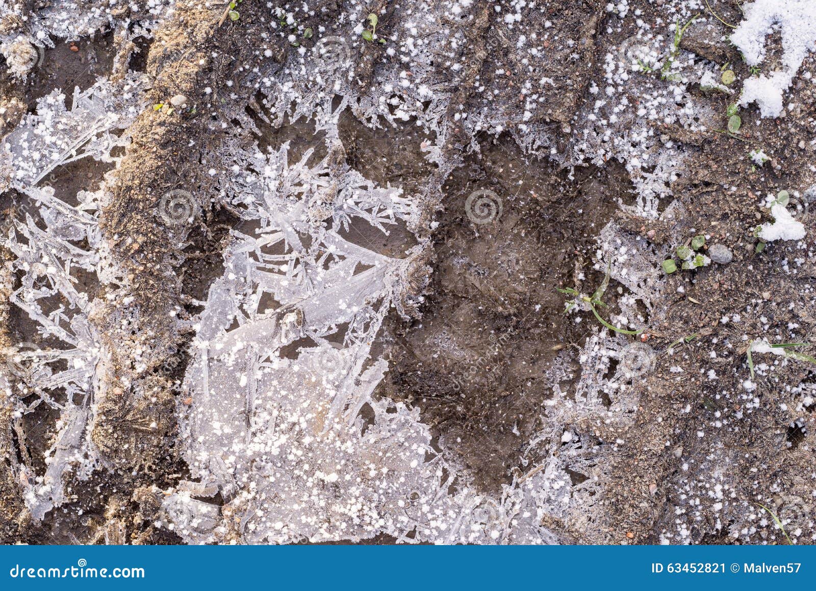 Winter Frozen Earth Soil with Ice Stock Image - Image of soil, earth ...