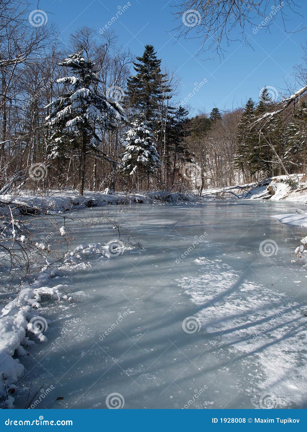 Winter Frozen Forest Stream Stock Photo - Image of beautiful, backdrop ...