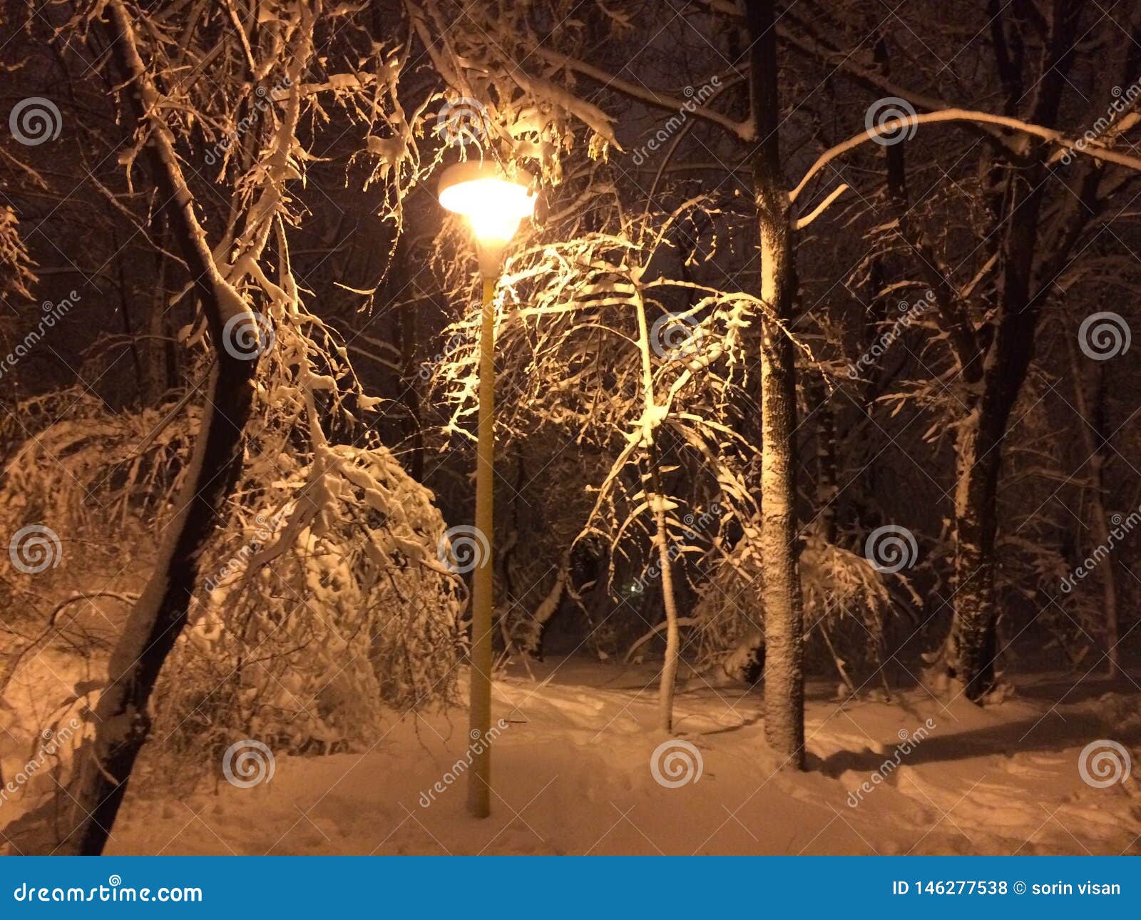 Winter frozen night stock photo. Image of light, black - 146277538