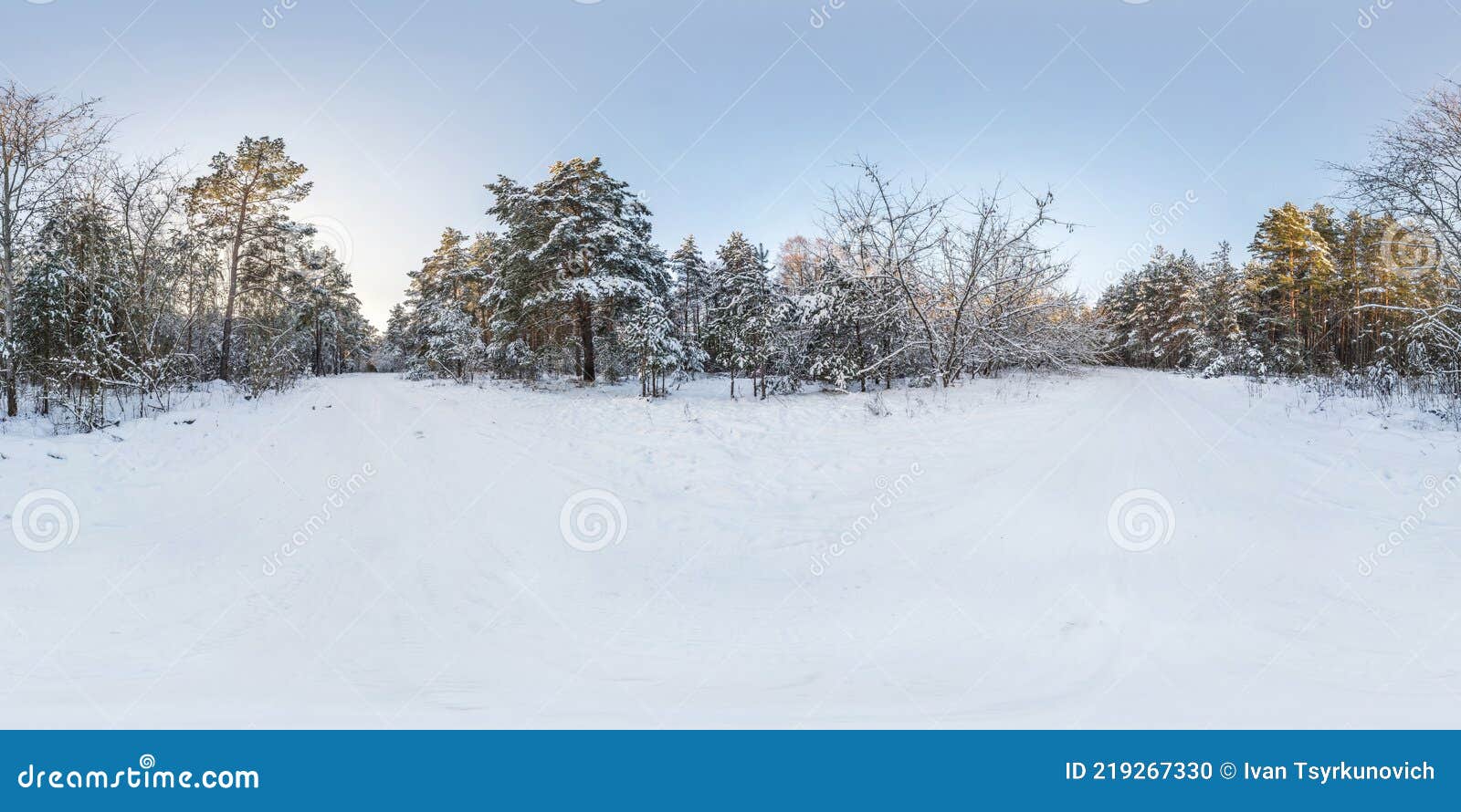 Winter Full Spherical Hdri Panorama 360 Degrees Angle View On Path In ...