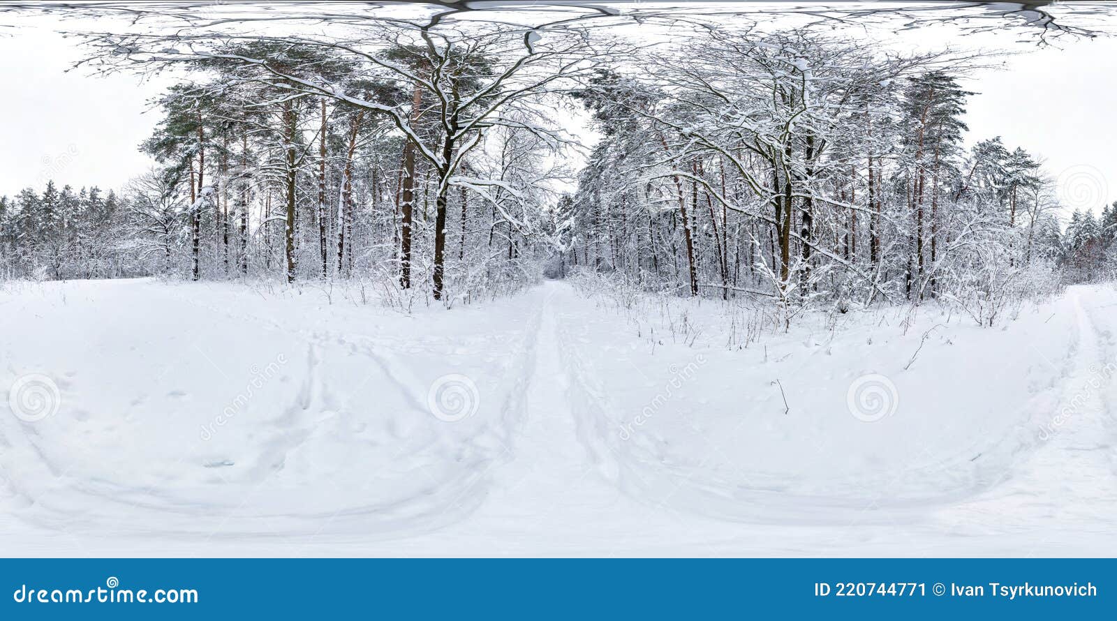 Winter Full Spherical Hdri Panorama 360 Degrees Angle View On Path In ...