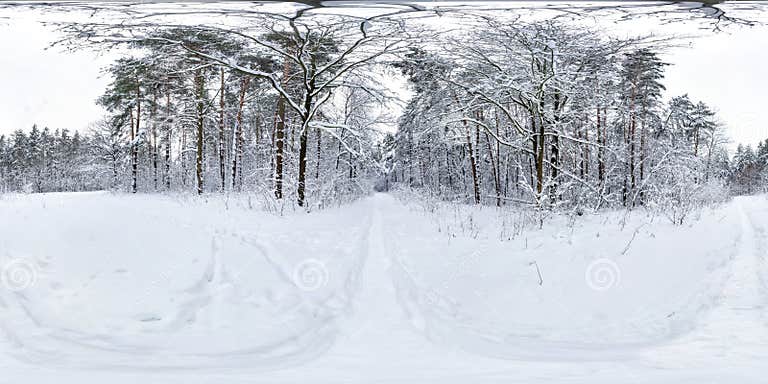Winter Full Spherical Hdri Panorama 360 Degrees Angle View on Path in ...